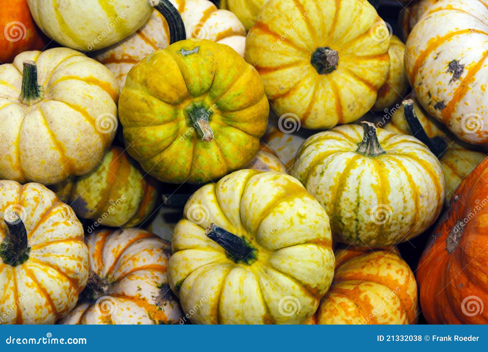 A Bunch of Decorative Gourds Stock Photo - Image of vitamin, gourds ...