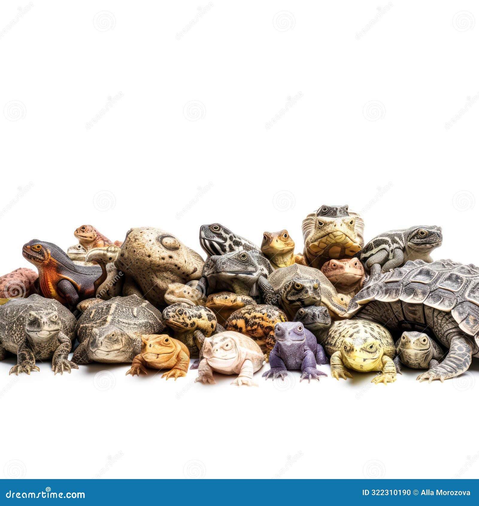 A Bunch of Different Animals, Including a Turtle, are Piled on Top of ...