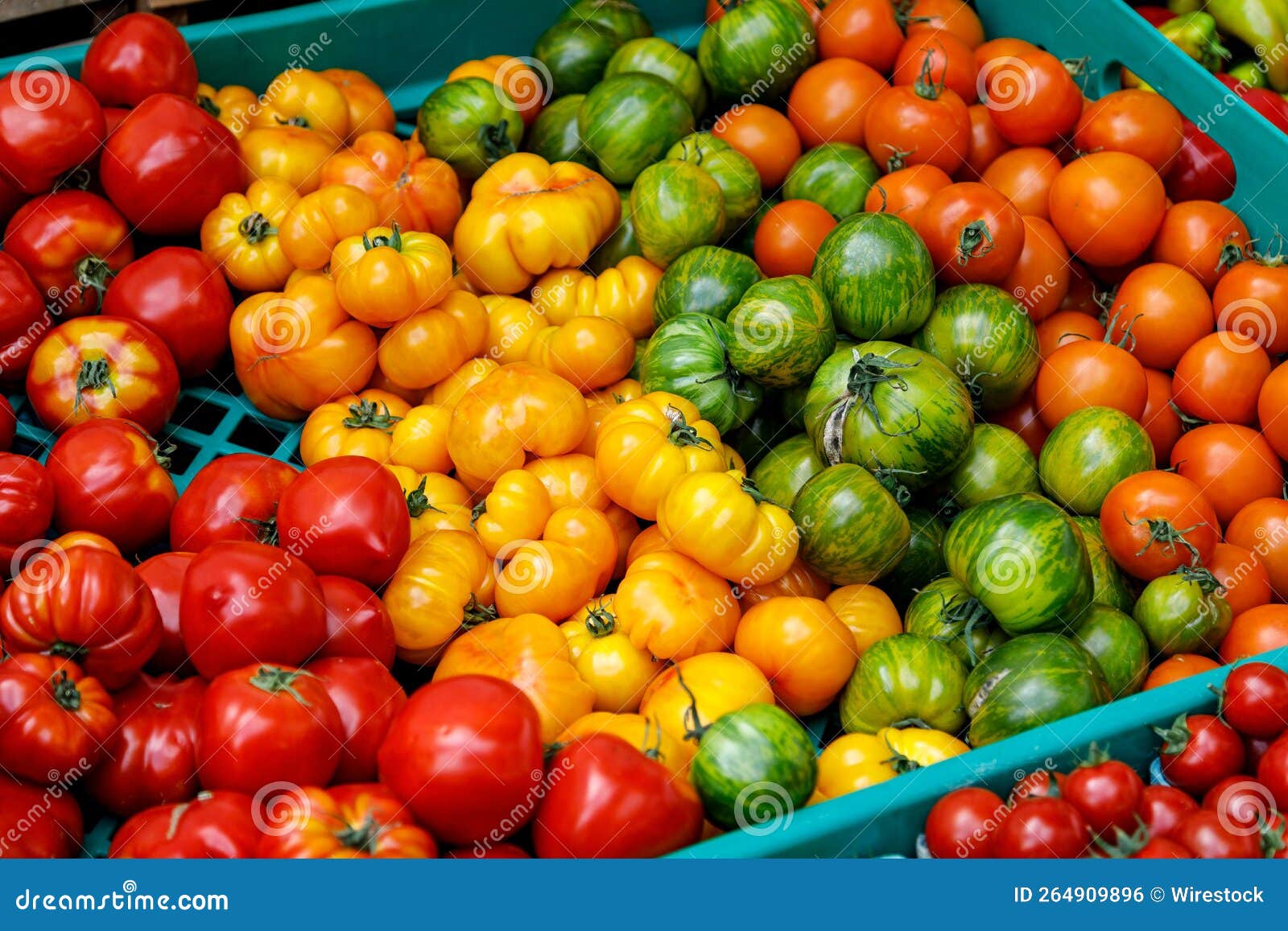 Bunch of Different Colored Tomatoes in a Box Stock Photo - Image of ...