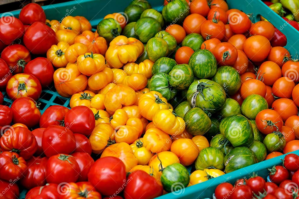 Bunch of Different Colored Tomatoes in a Box Stock Photo - Image of ...