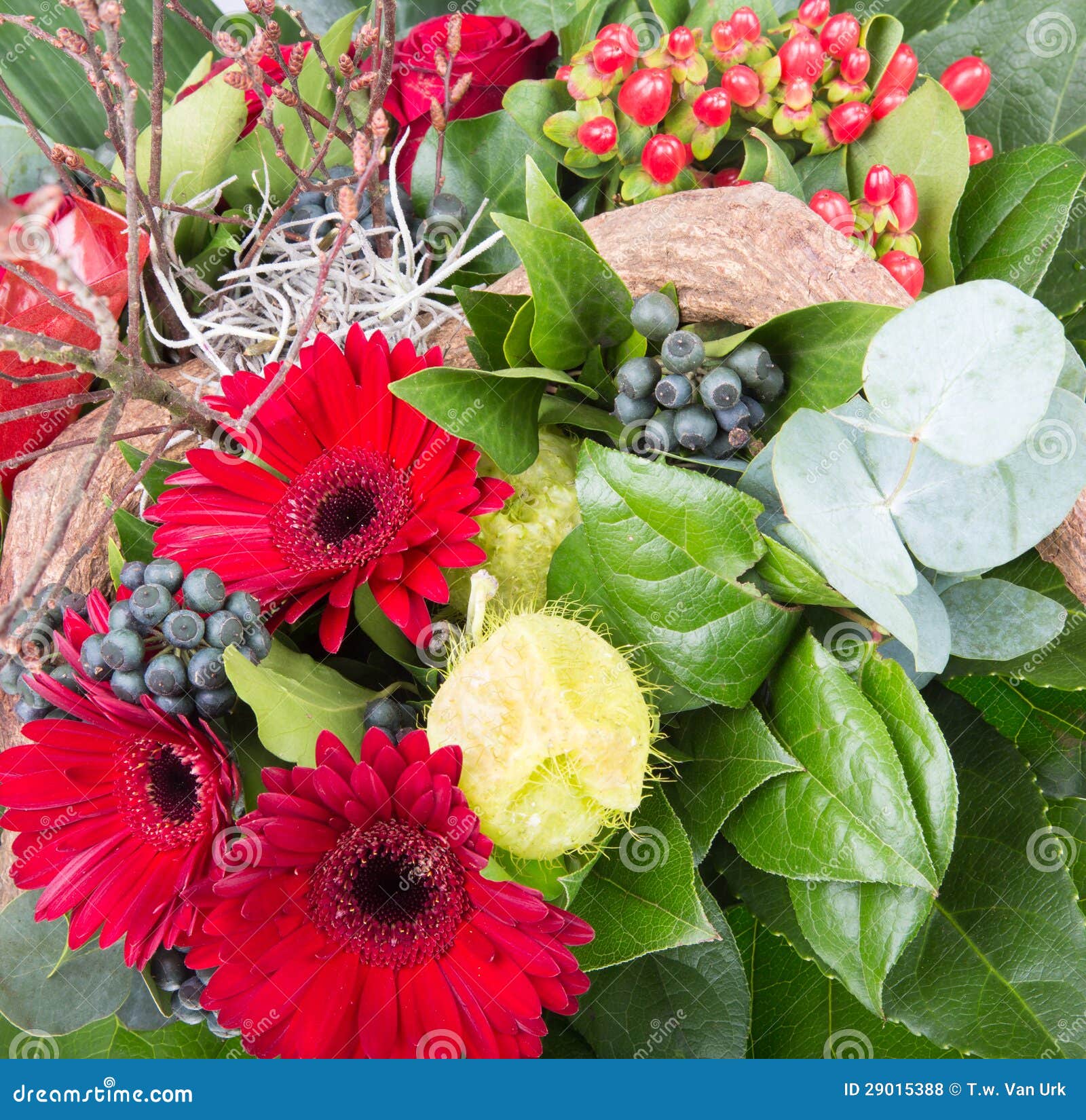 Bunch of Different Colorful Flowers Stock Photo - Image of blossom ...