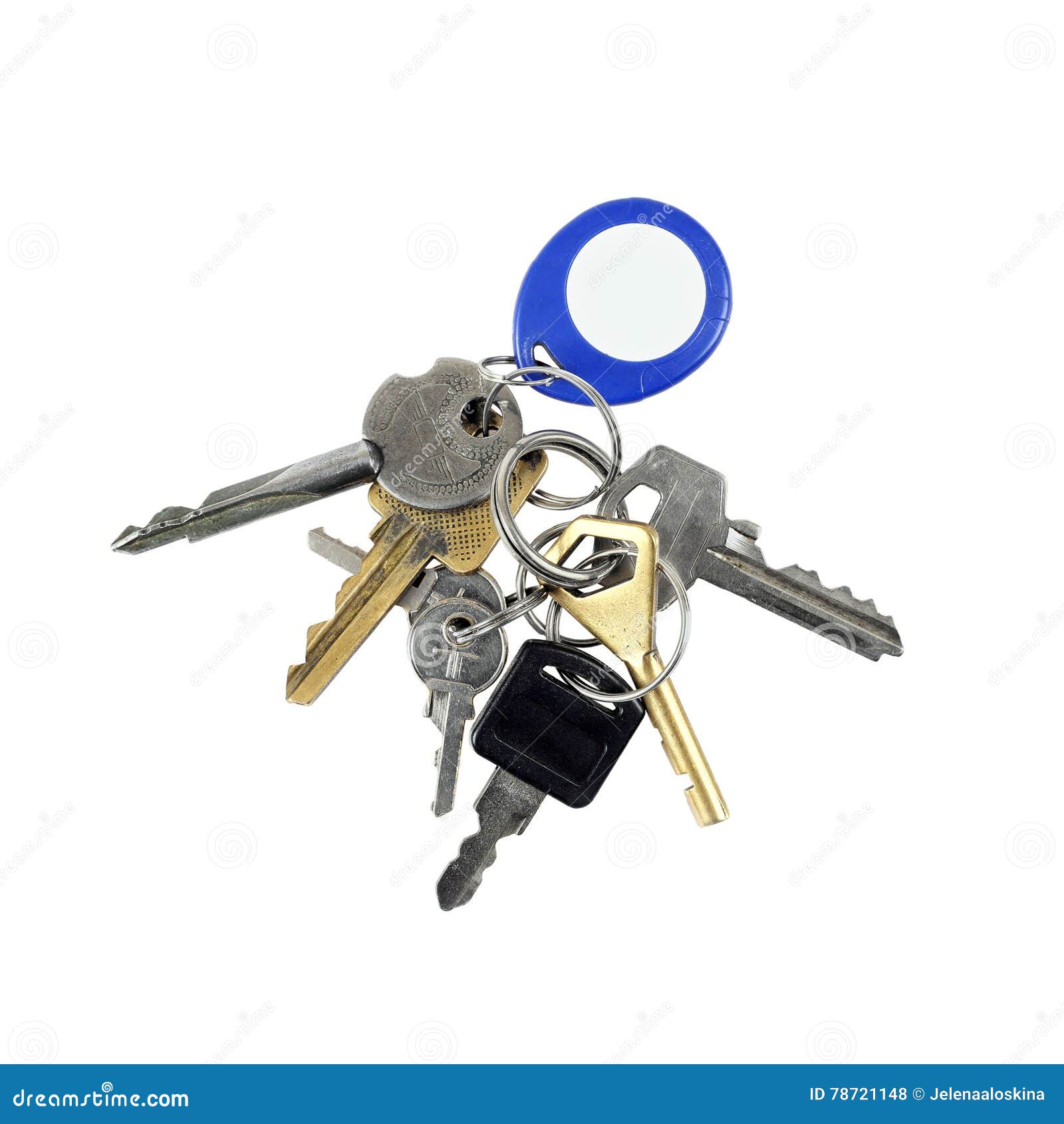 Bunch of Different Keys with Electronic Chip Token on Key Ring Stock ...