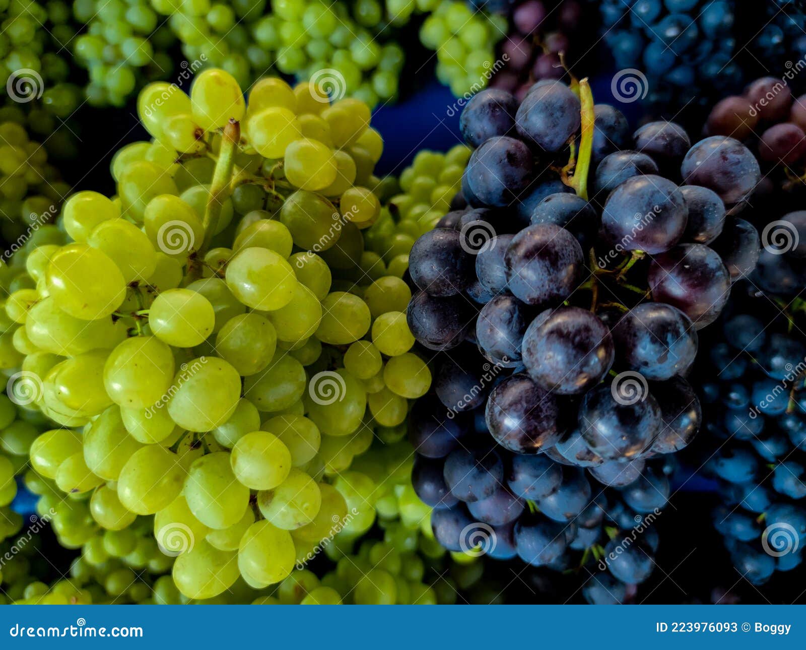 Bunch of Different Types of Fresh Grapes Stock Image - Image of berry ...