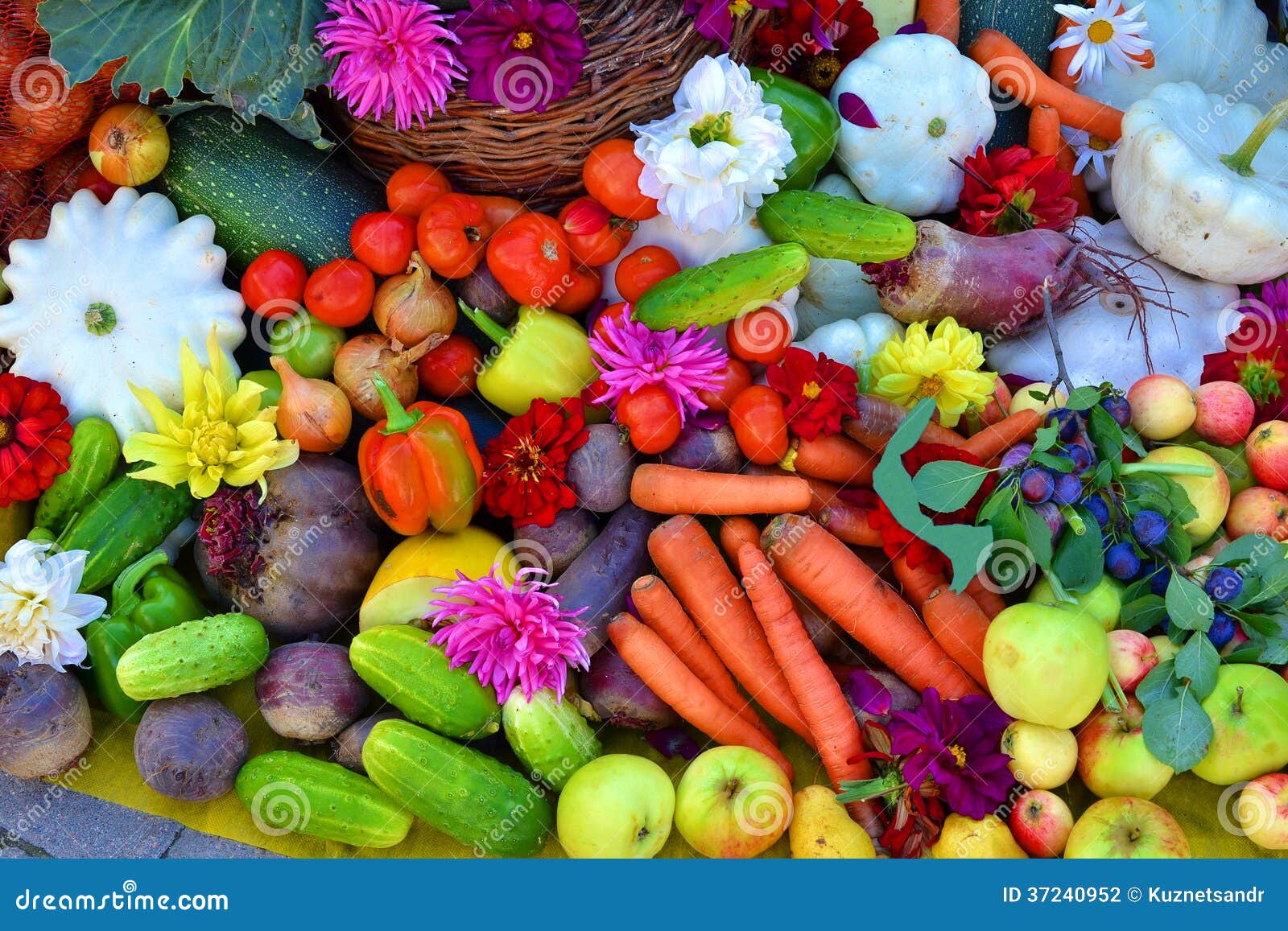 A Bunch of Different Vegetables Stock Photo - Image of onions, salt ...