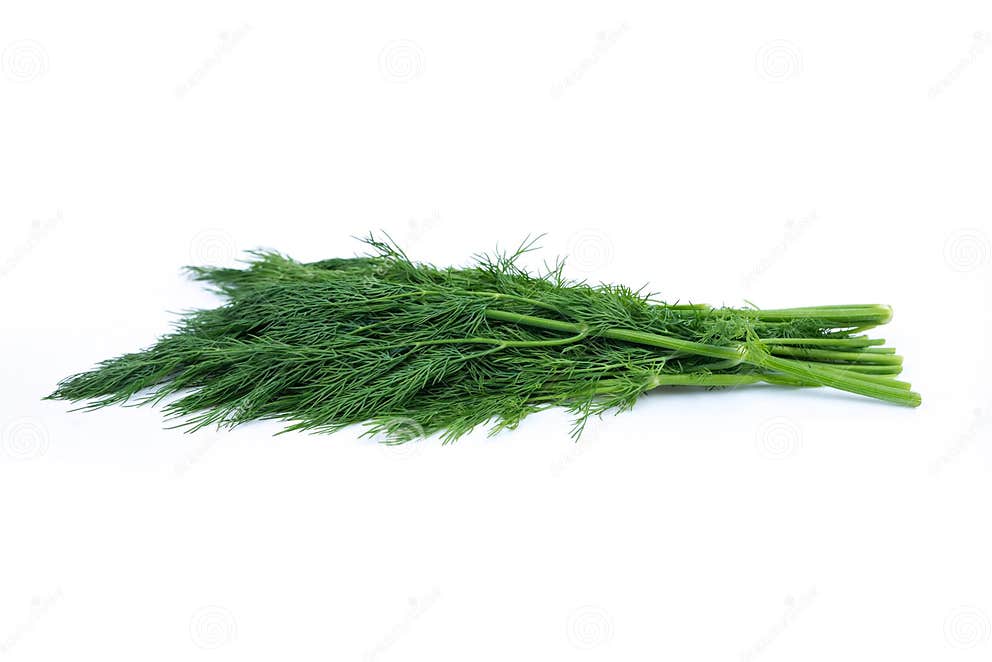 Bunch of dill on a white stock photo. Image of food - 323044010