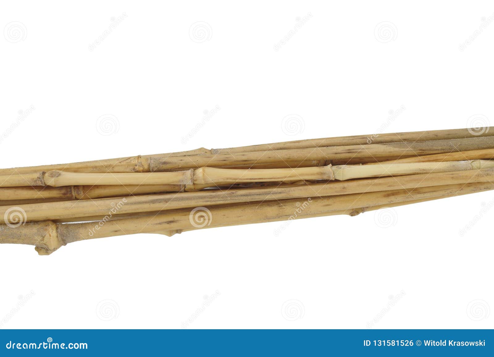 A bunch of dried bamboo stock photo. Image of dried - 131581526
