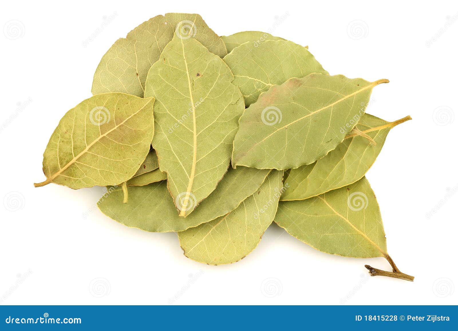 Bunch of dried bay leaves stock photo. Image of scent - 18415228