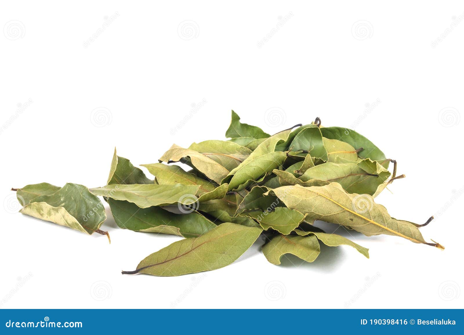 Bunch of Dried Laurel Leaves on White Background Stock Photo - Image of ...