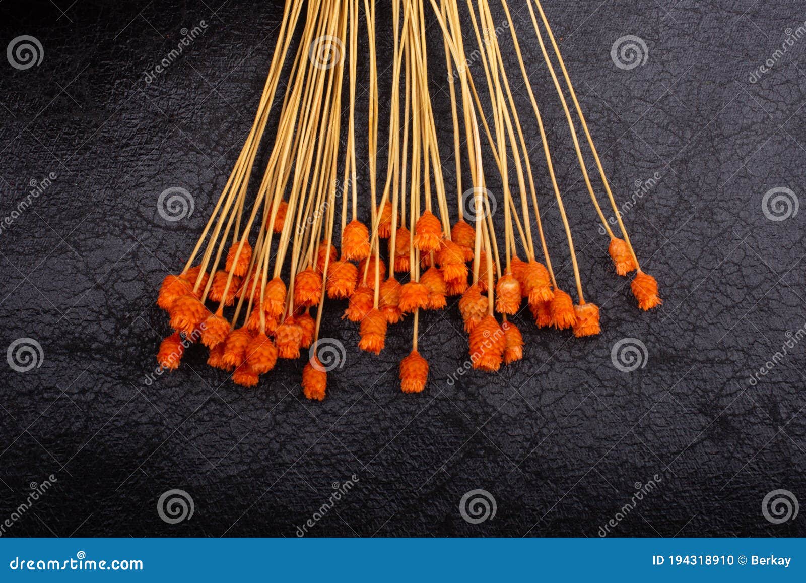 Bunch of Dried Orange Color Flower on Dark Background Stock Photo ...