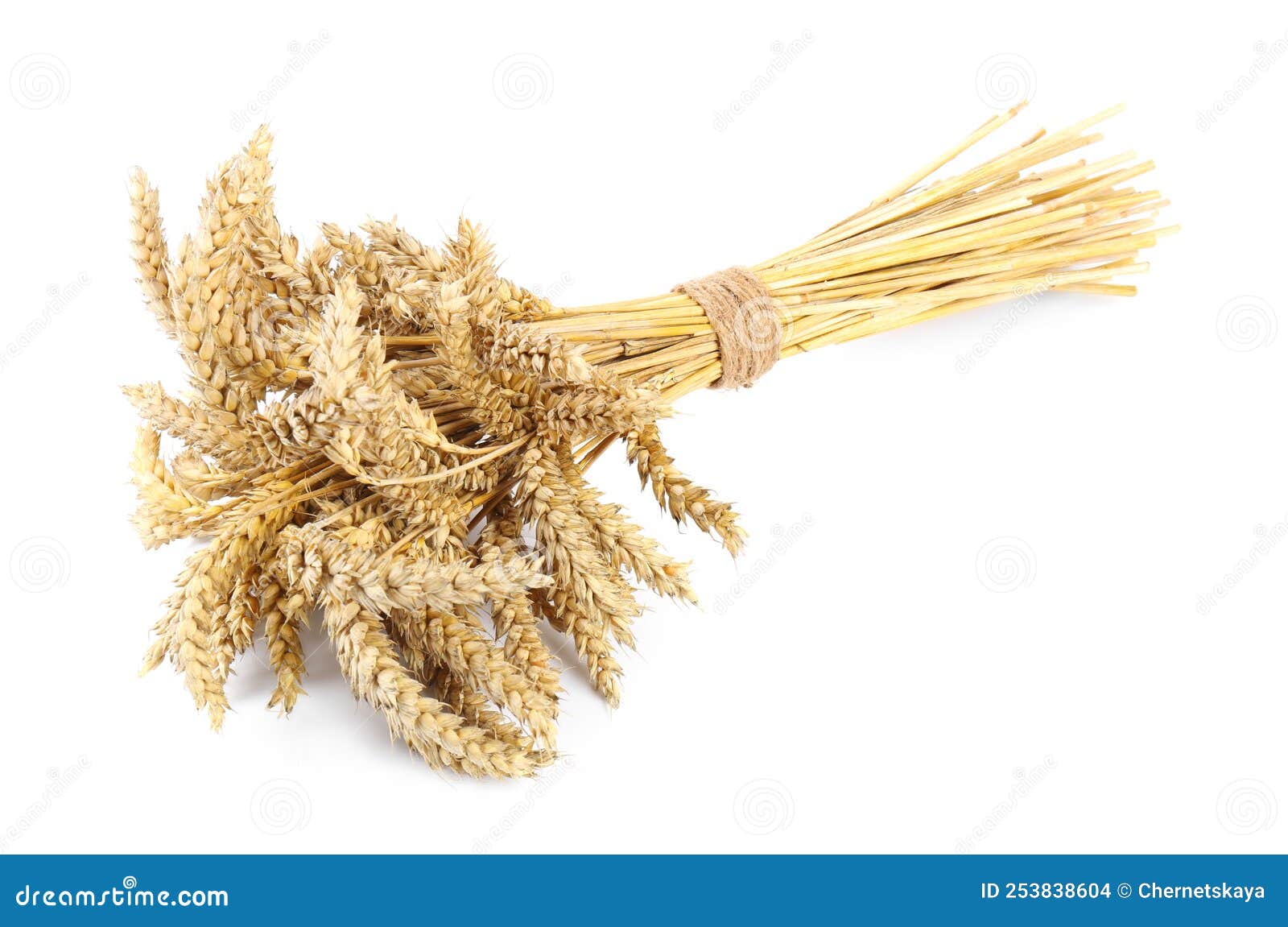 Bunch of Dried Wheat Isolated on White Stock Photo - Image of bread ...