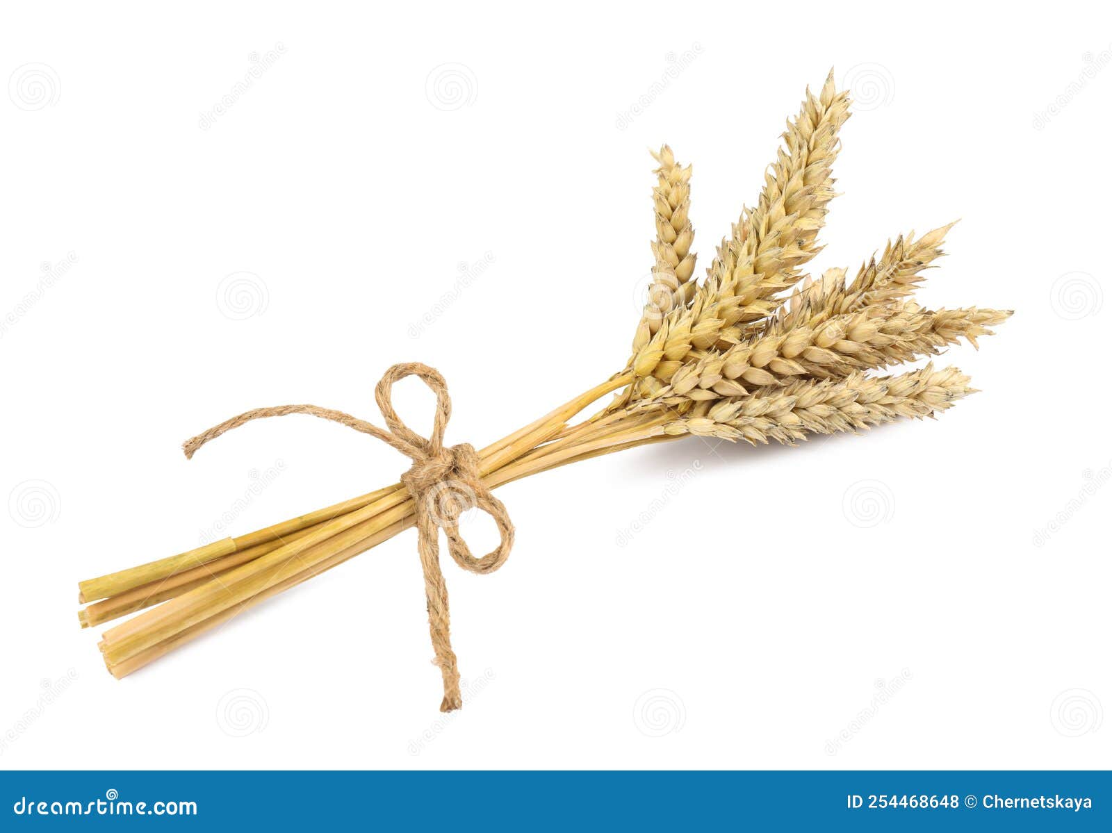 Bunch of Dried Wheat Isolated on White Stock Photo - Image of golden ...