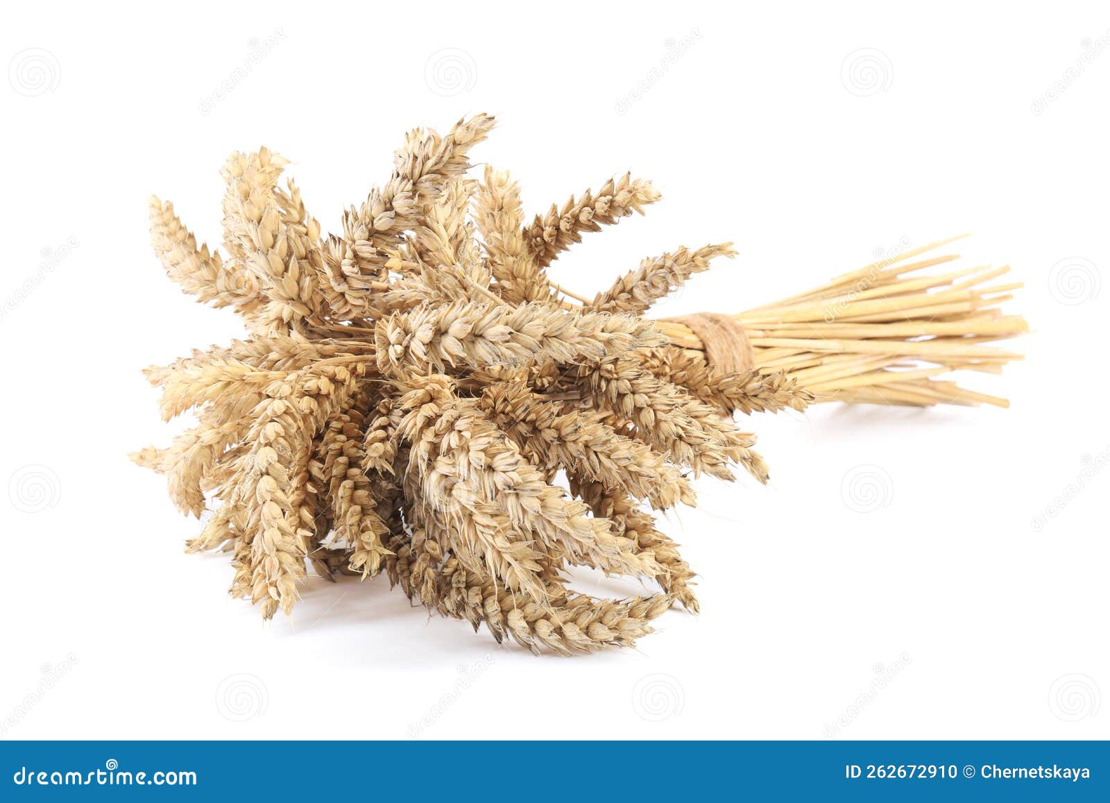 Bunch of Dried Wheat on White Background Stock Photo - Image of natural ...