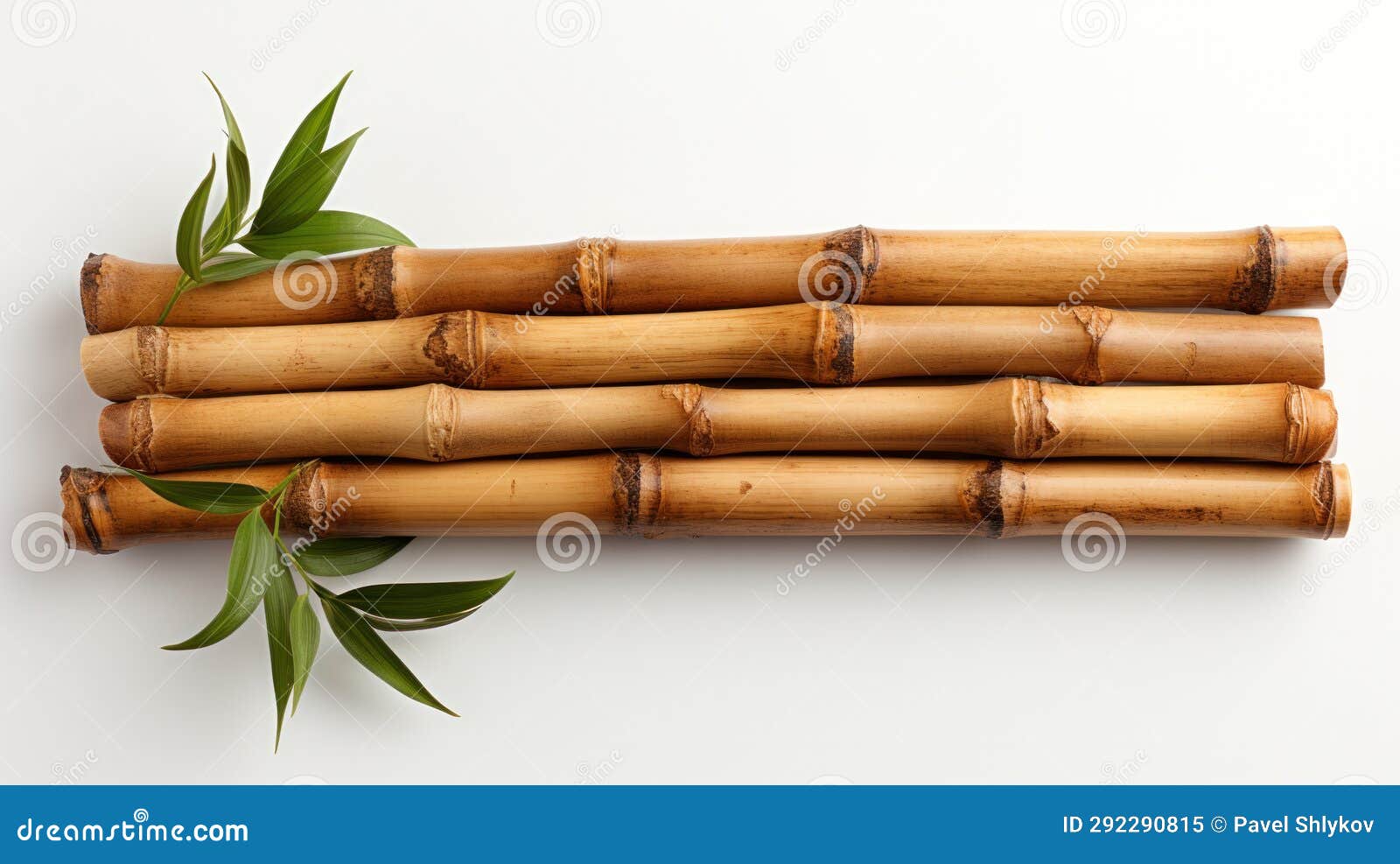 Bunch of Dry Bamboo Sticks on White Background, Top View Stock Image ...