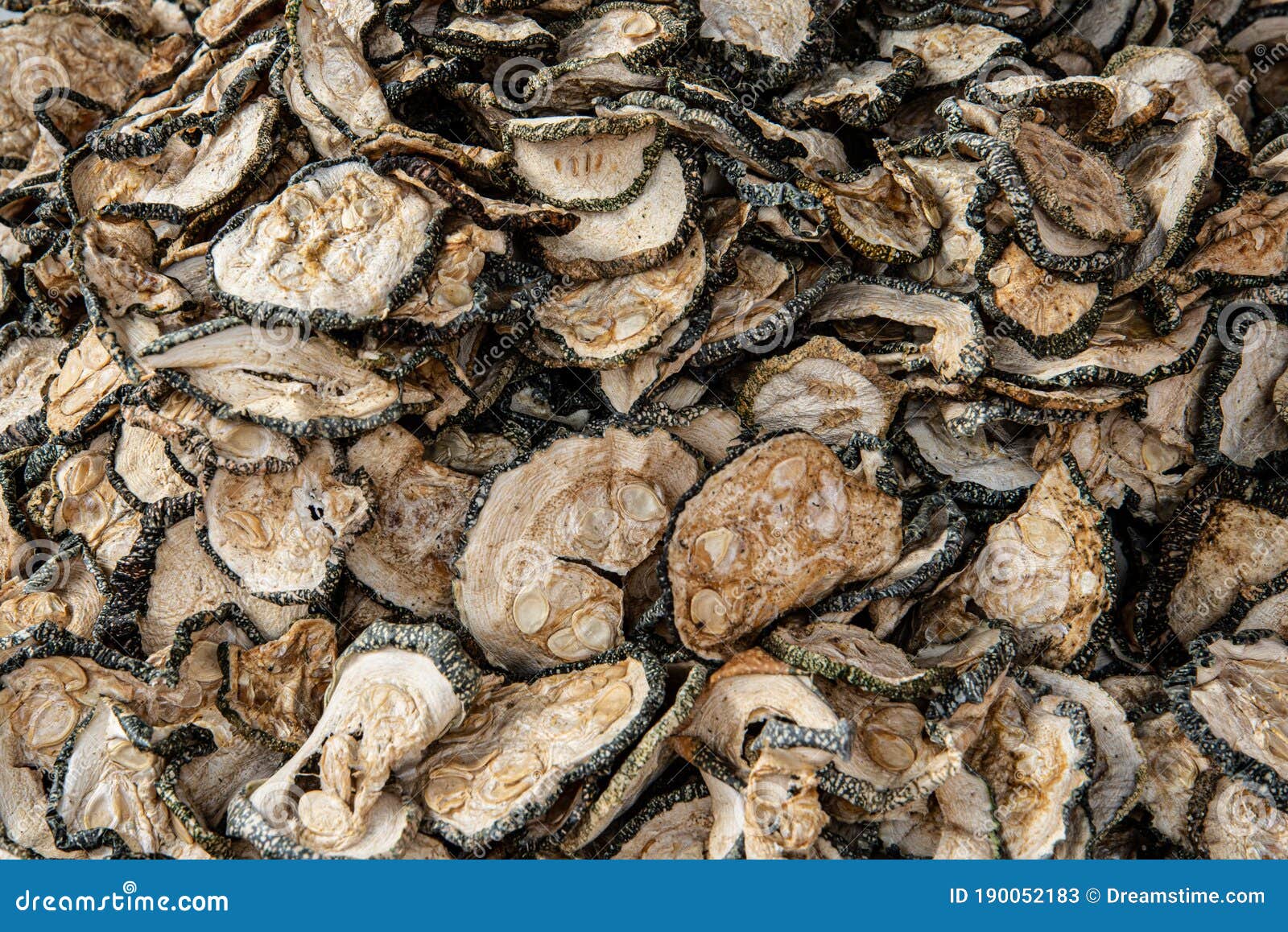 Dry squash texture stock image. Image of texture, brown - 190052183