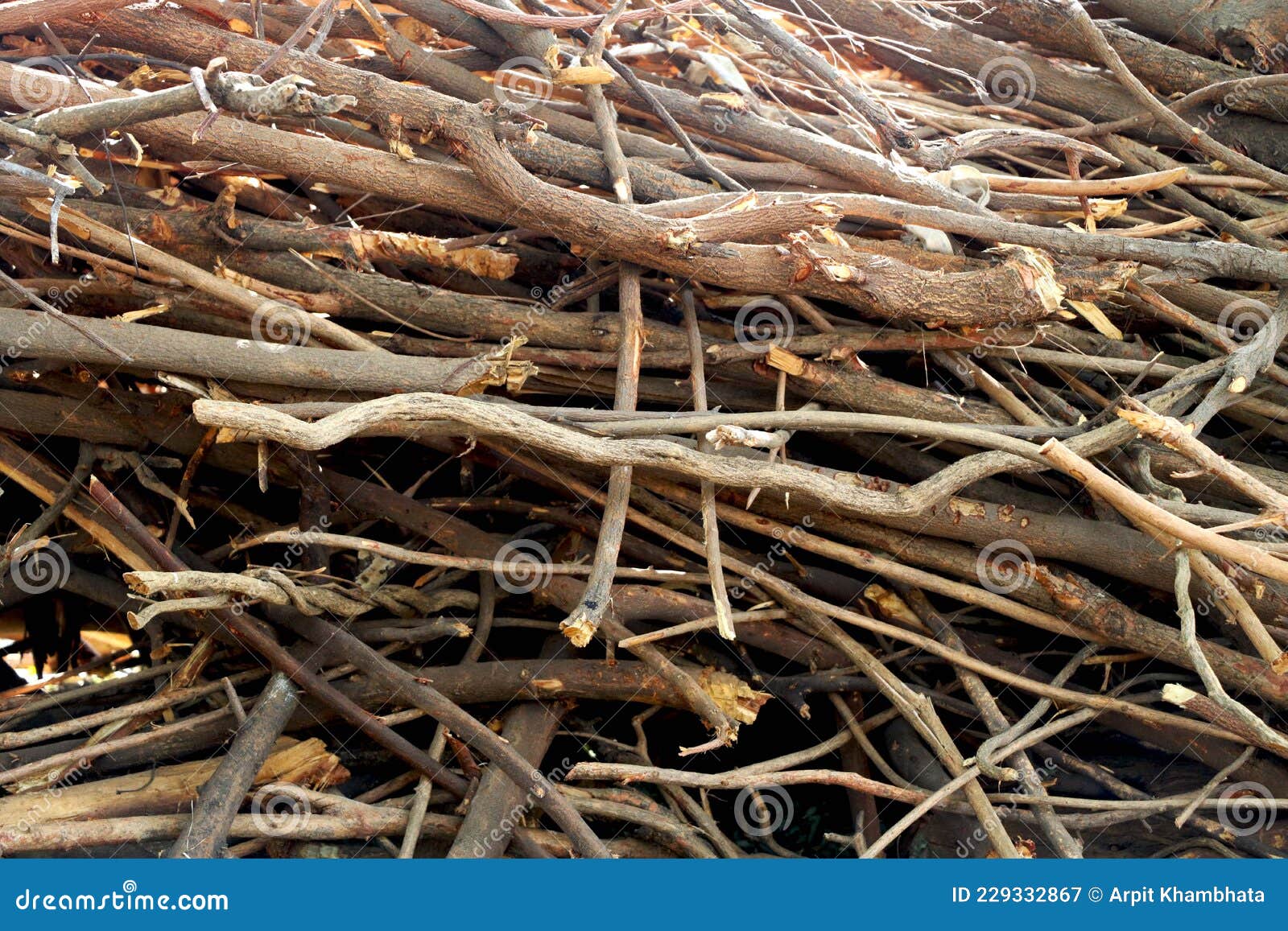 Dry Wooden Stick Stack for Fire Stock Image - Image of design ...