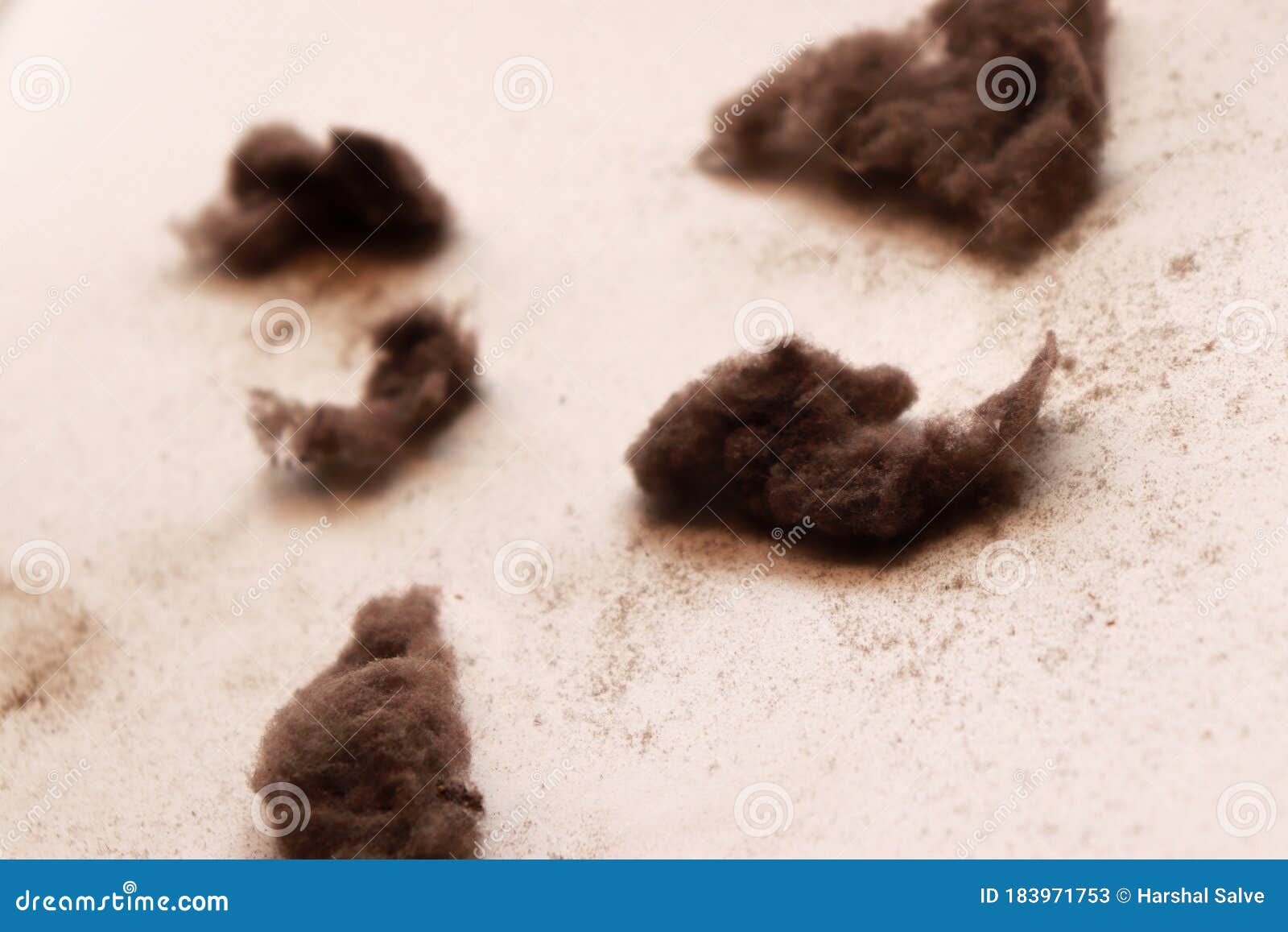 Bunch of Dust and Fiber Particles Stock Image - Image of environment ...