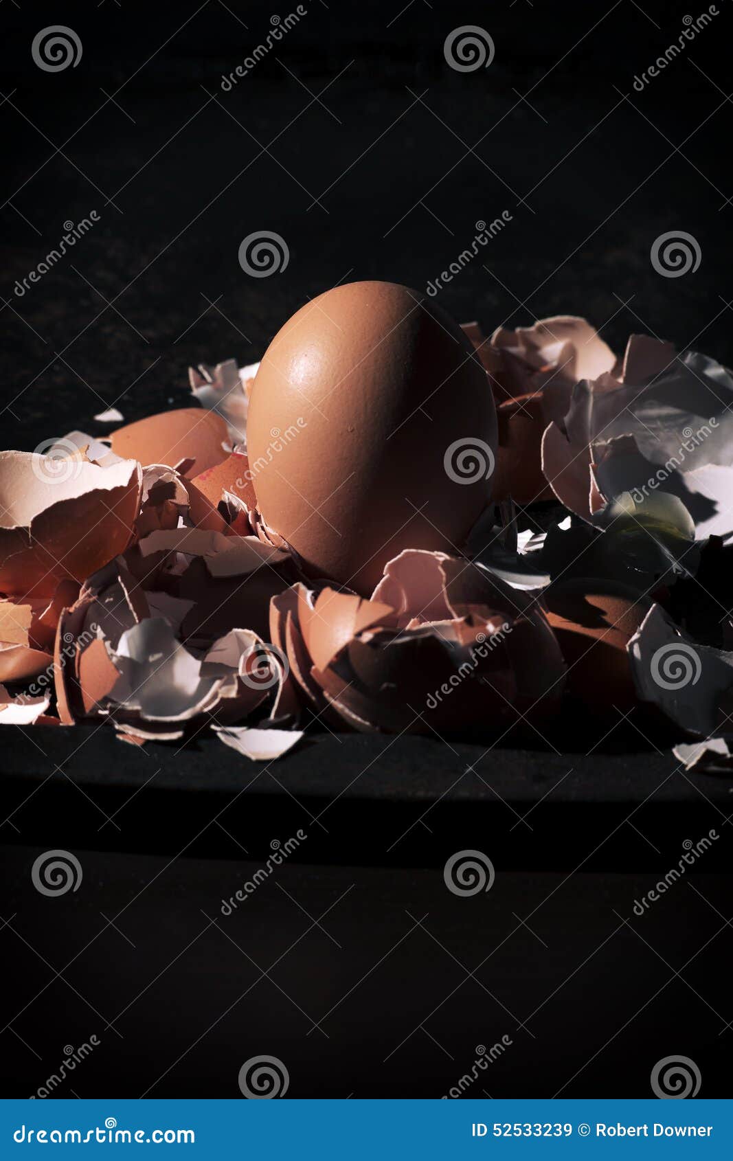 Bunch of Eggs Whole and Crushed Shells Stock Image - Image of market ...
