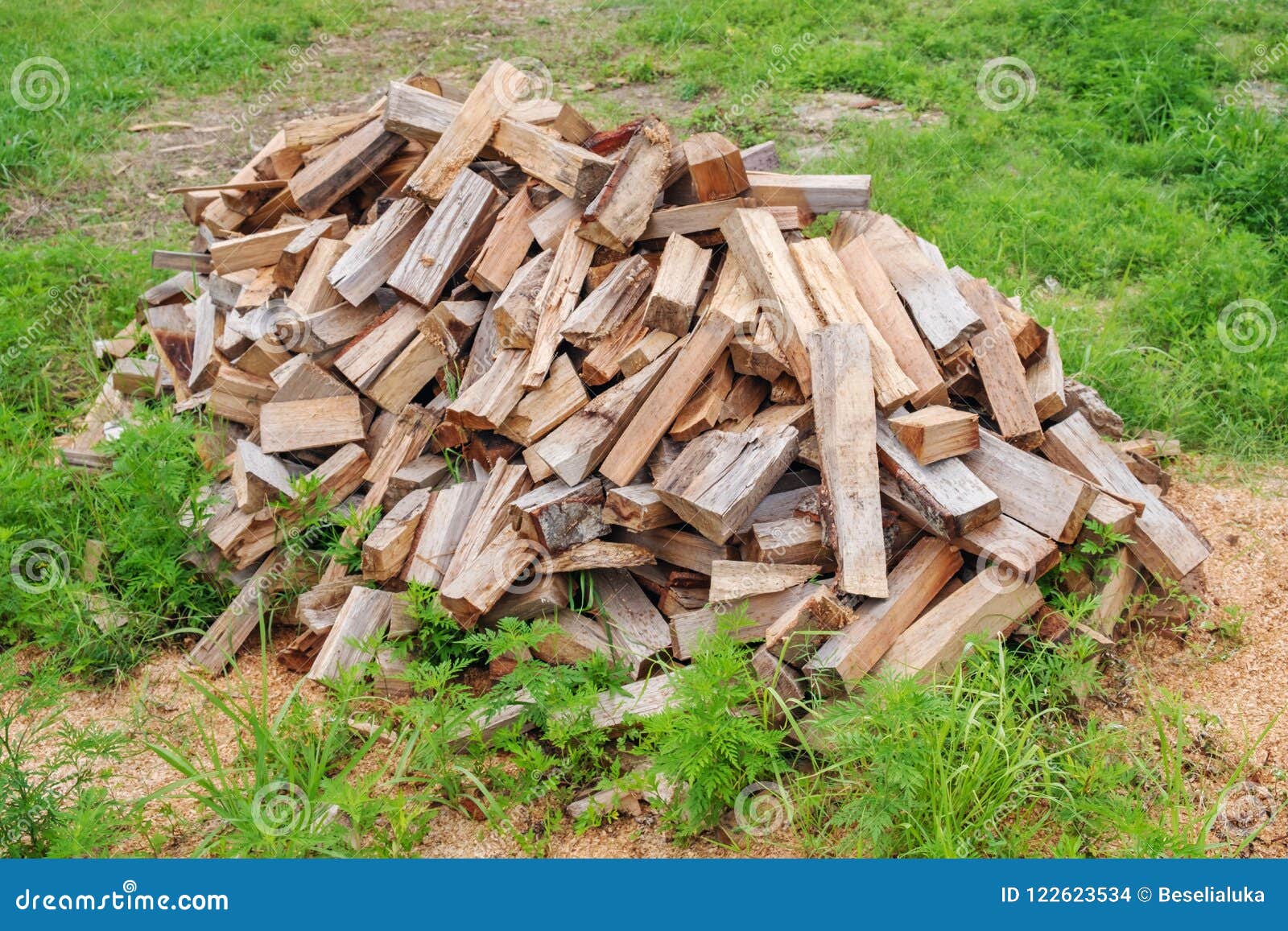 Bunch of fire woods stock photo. Image of firewood, logging - 122623534
