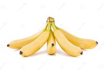 Bunch of five bananas stock photo. Image of food, exotic - 16459748