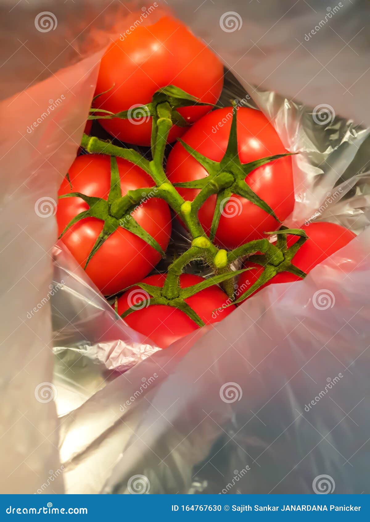 A Bunch of Red Tomatoes Packed in Plastic Stock Photo - Image of ...