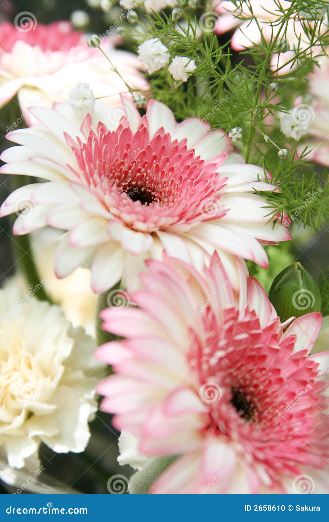 Bunch of flowers stock photo. Image of birthday, close - 2658610