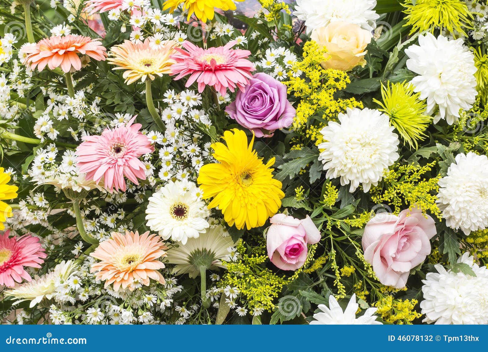 Bunch of flowers stock photo. Image of flora, background - 46078132