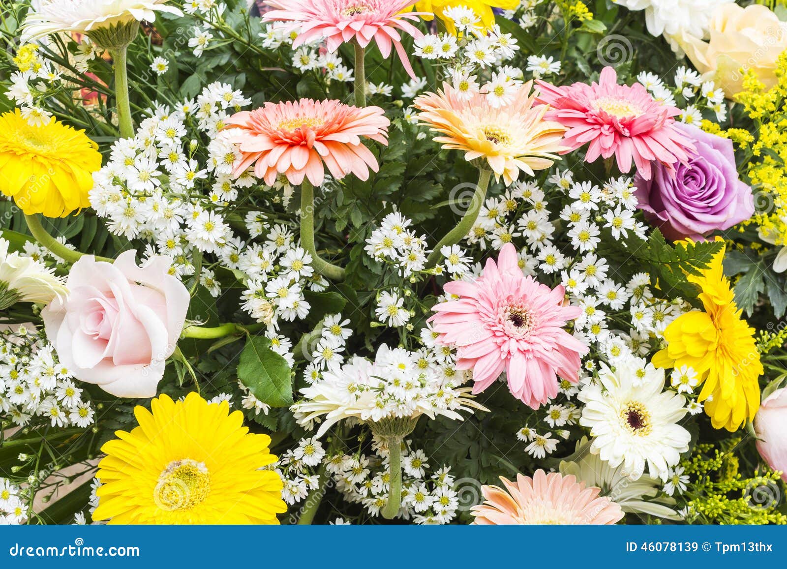 Bunch of flowers stock image. Image of growth, celebration - 46078139