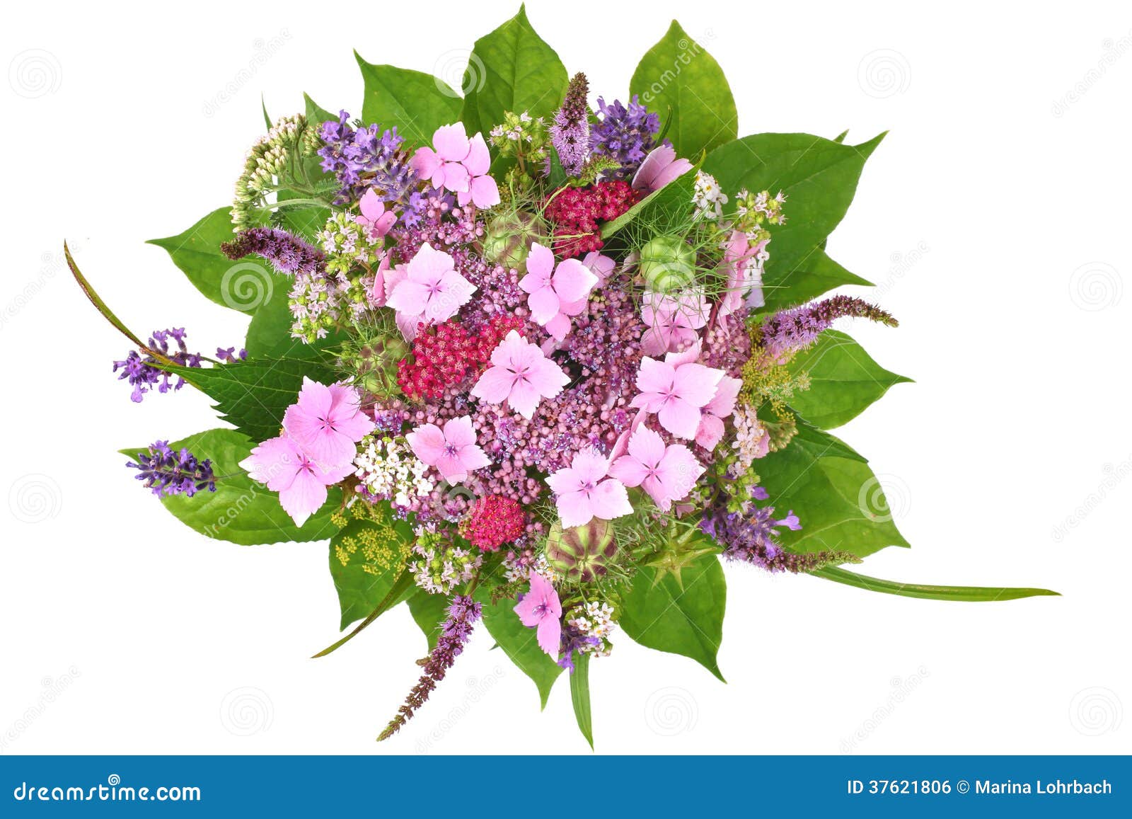 Bunch of Flowers with Hydrangea and Lavender Stock Photo - Image of ...