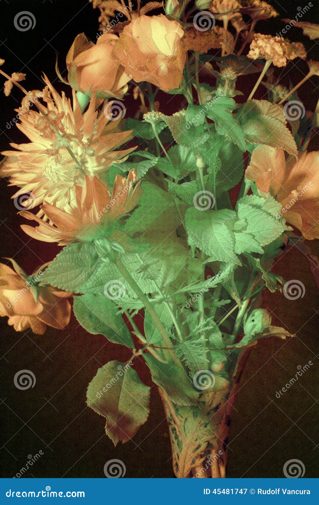Bunch of Flowers in Infrared Light Stock Image - Image of blossoms ...