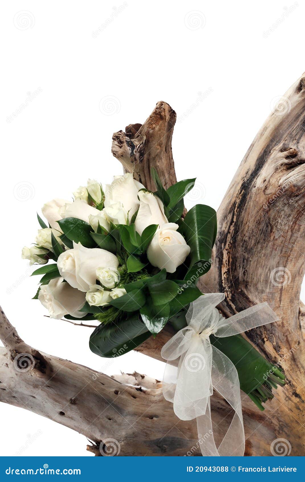A Bunch of Flowers on White on Tree Stump Stock Photo - Image of fresh ...