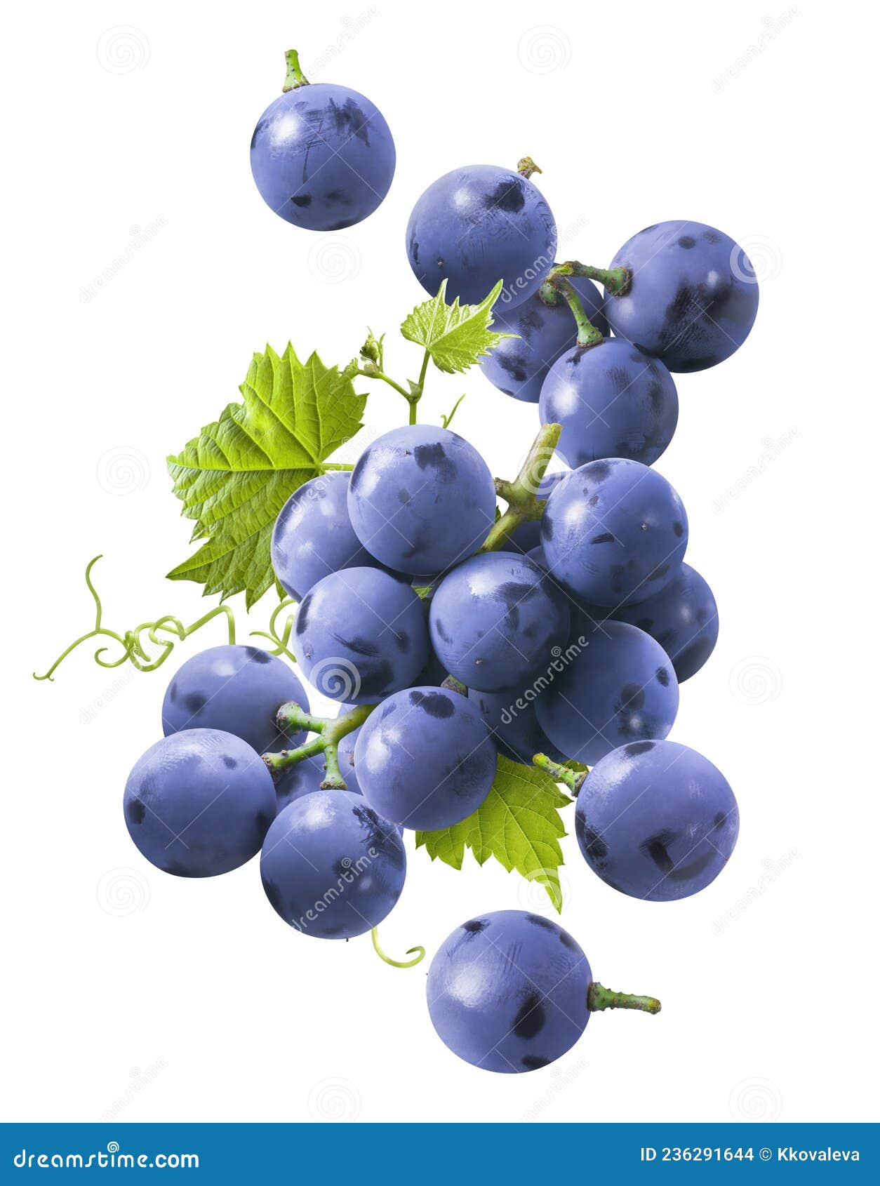 Bunch of Flying Blue Grapes Isolated on White Background. Falling ...