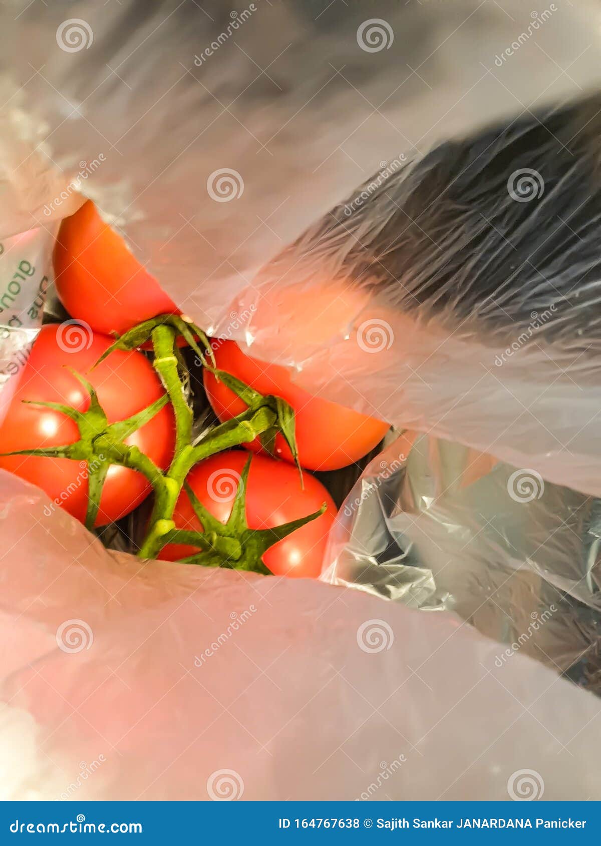 A Bunch of Red Tomatoes Packed in Plastic Stock Photo - Image of ...