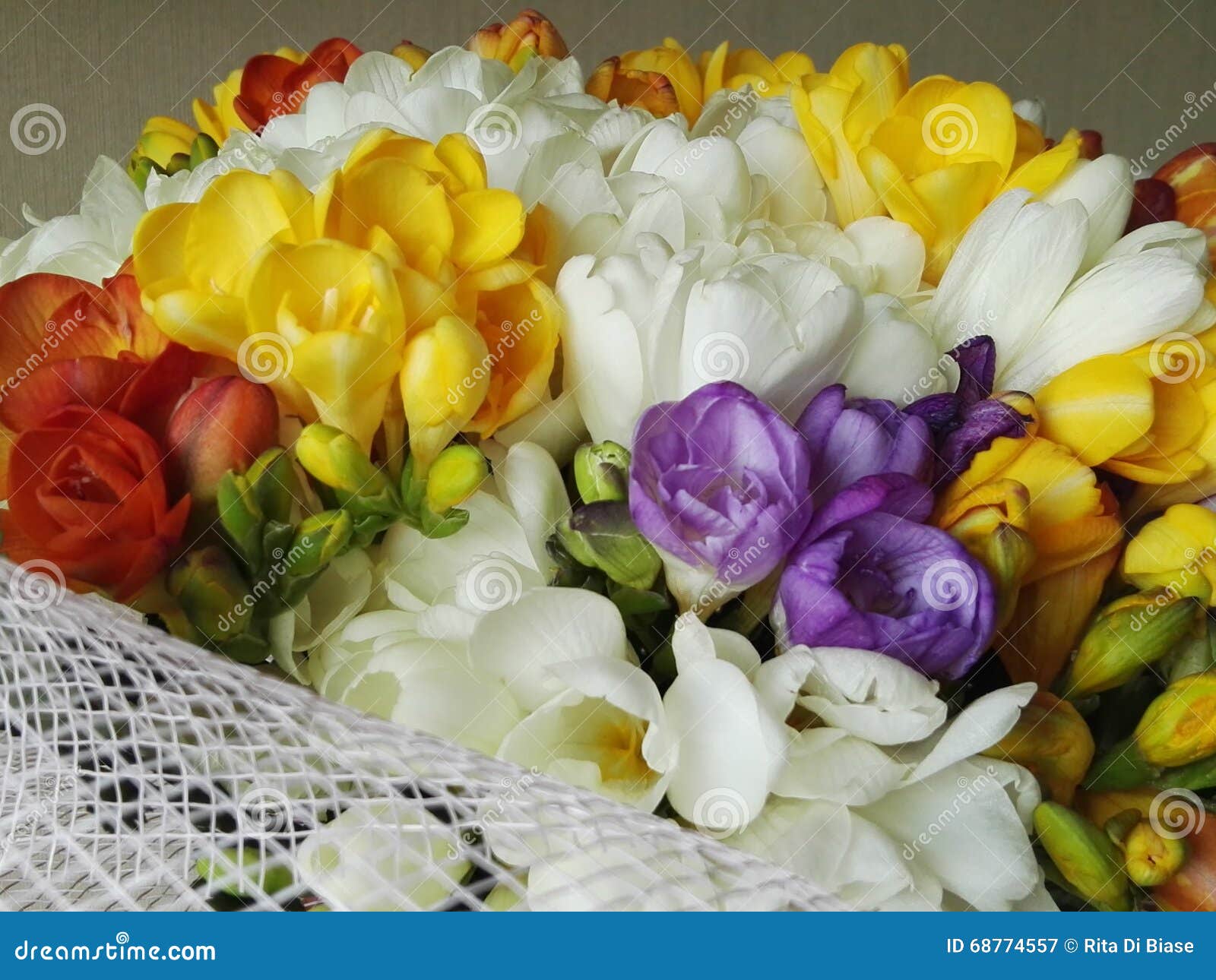 Bunch of freesias stock image. Image of flowers, freesias - 68774557