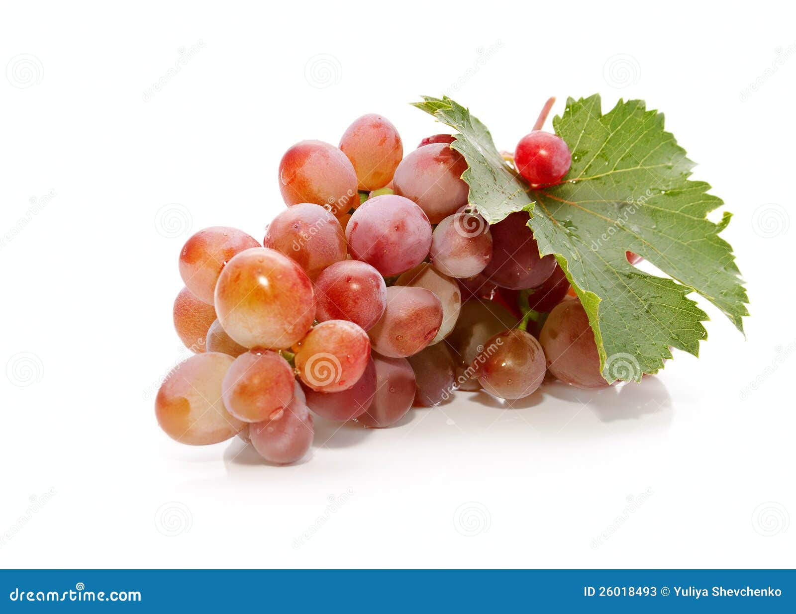 The Bunch of the Fresh Appetizing Grapes Stock Image - Image of objects ...