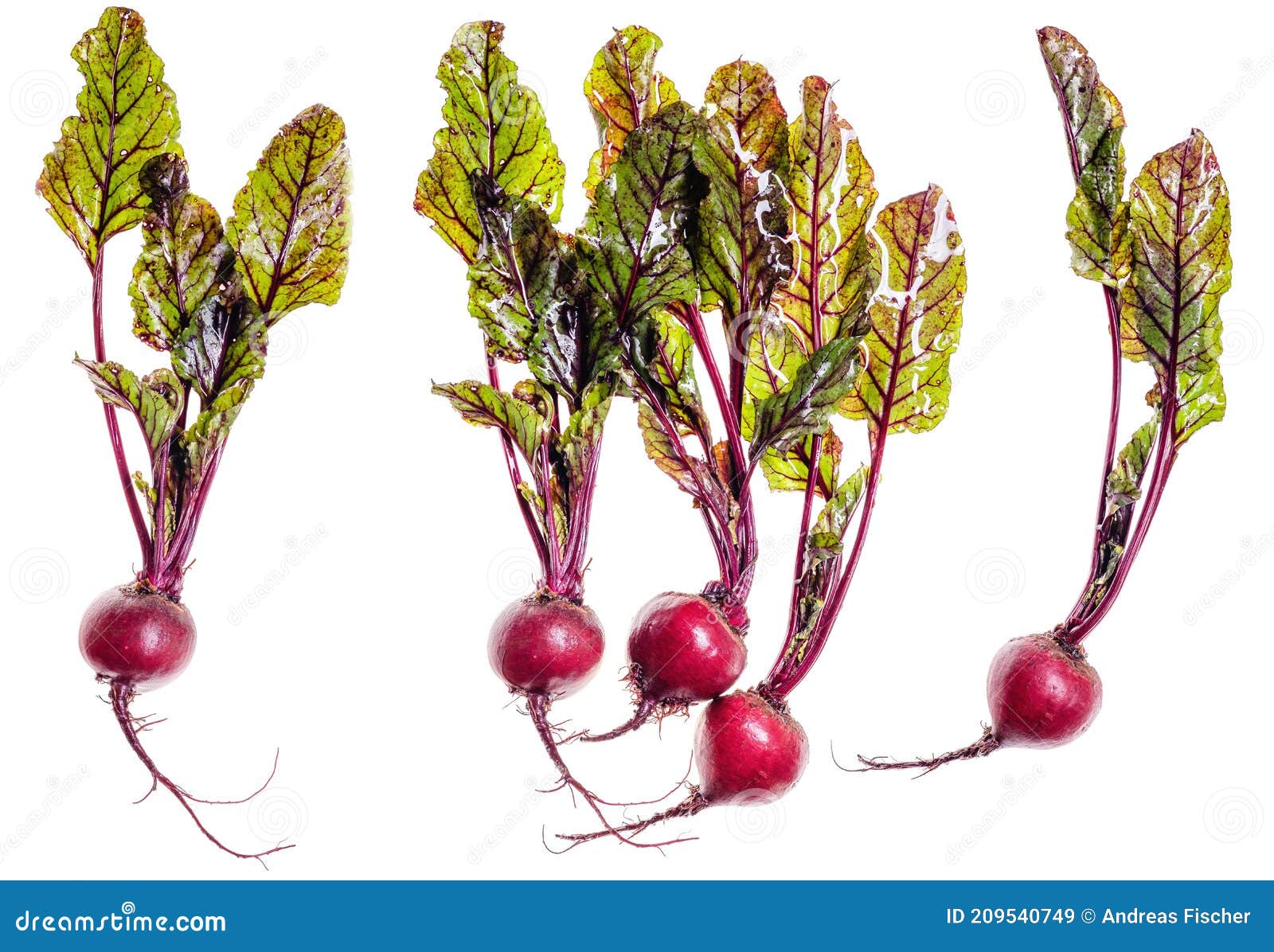 Bunch of Fresh Beets with Leaves Isolated on White Stock Image - Image ...