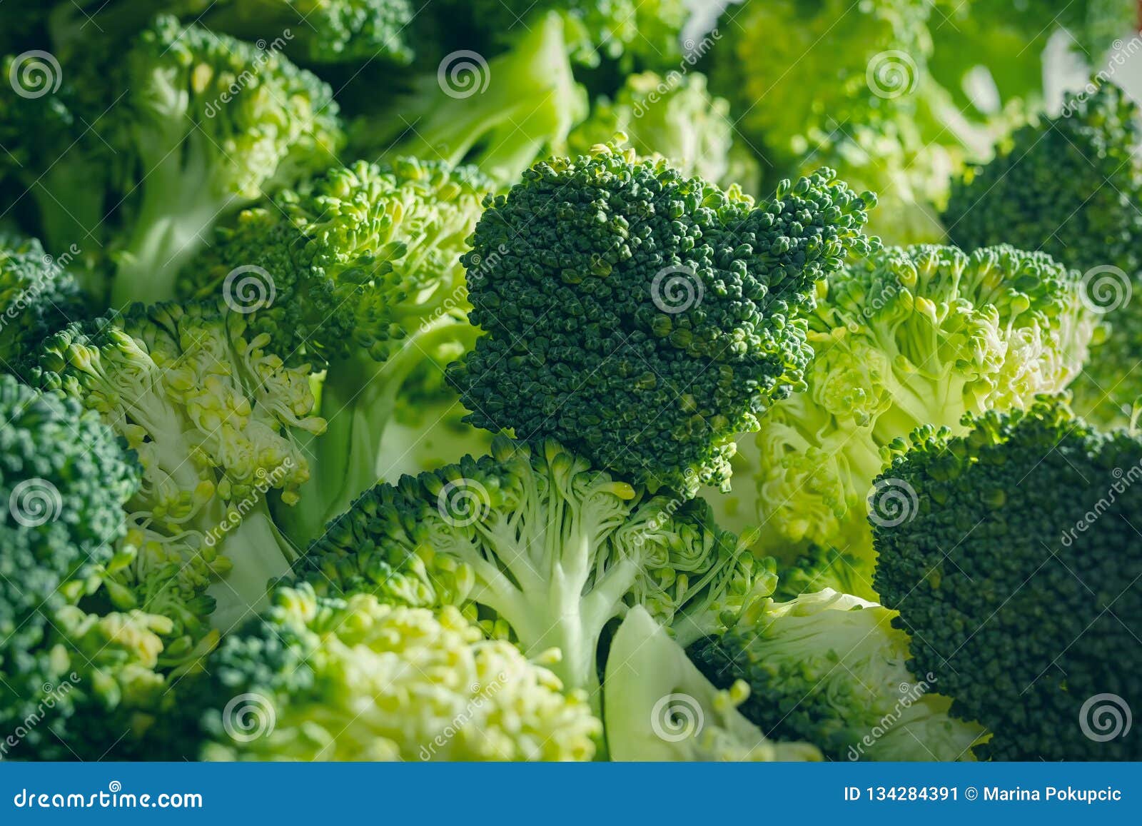 Bunch of Fresh Broccoli Florets in the Morning Light Stock Image ...