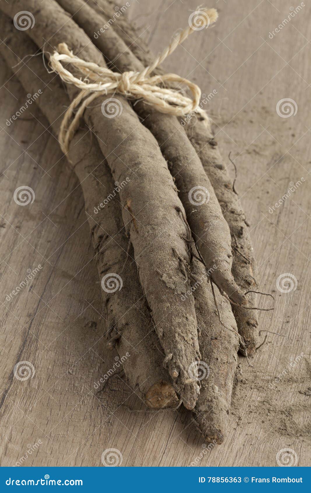 Bunch of Fresh Burdock Taproots Stock Image - Image of arctium ...