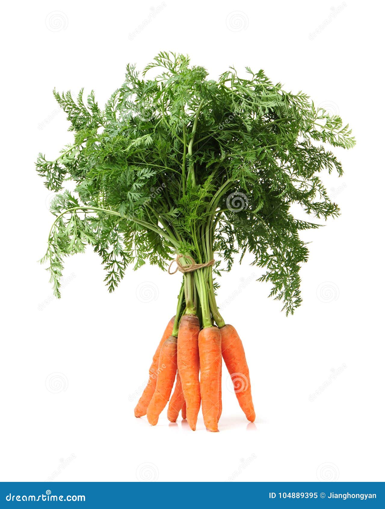 Bunch of fresh carrot stock image. Image of orange, bunch - 104889395