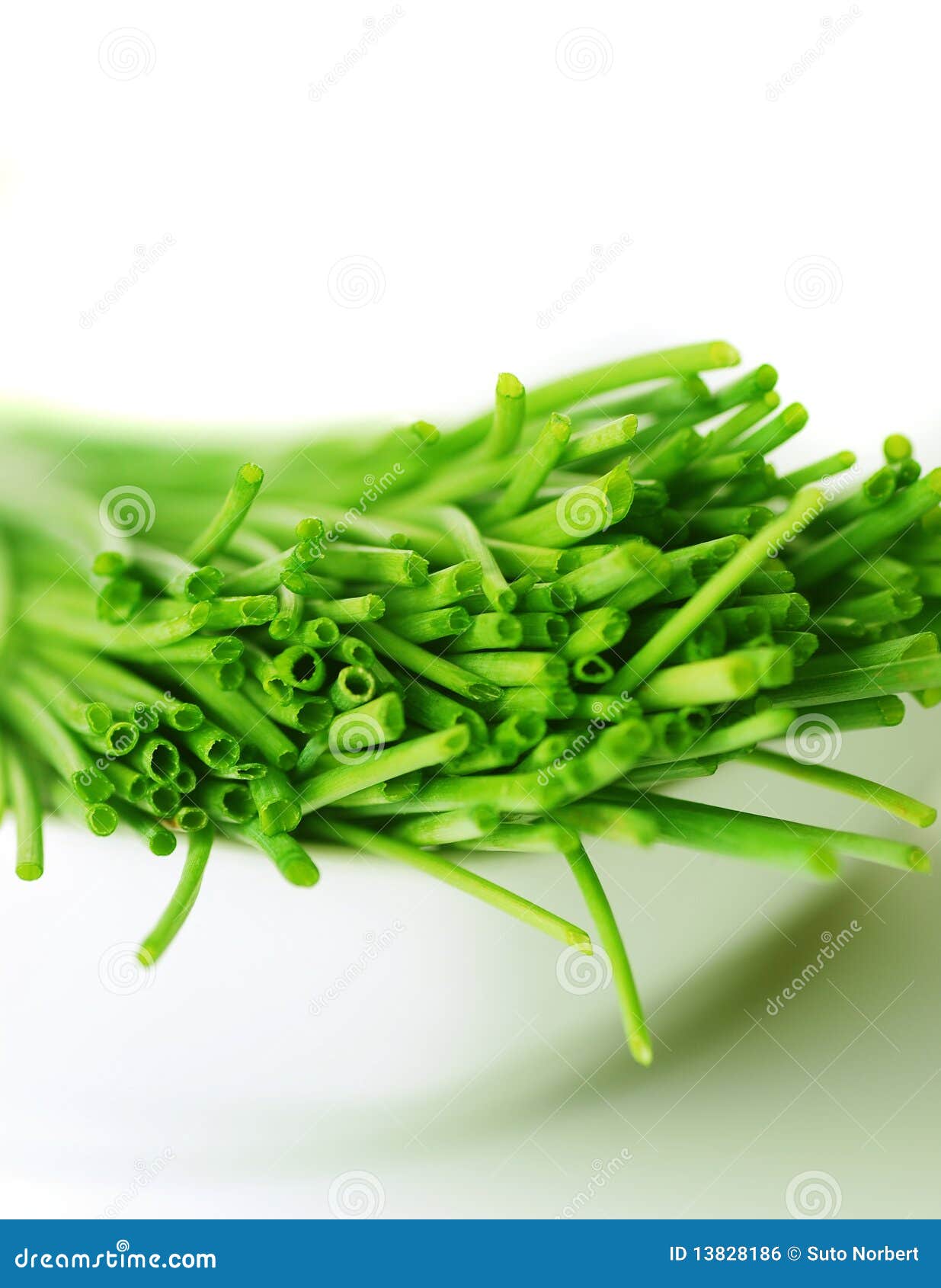 A bunch of fresh chives stock photo. Image of vegetable - 13828186