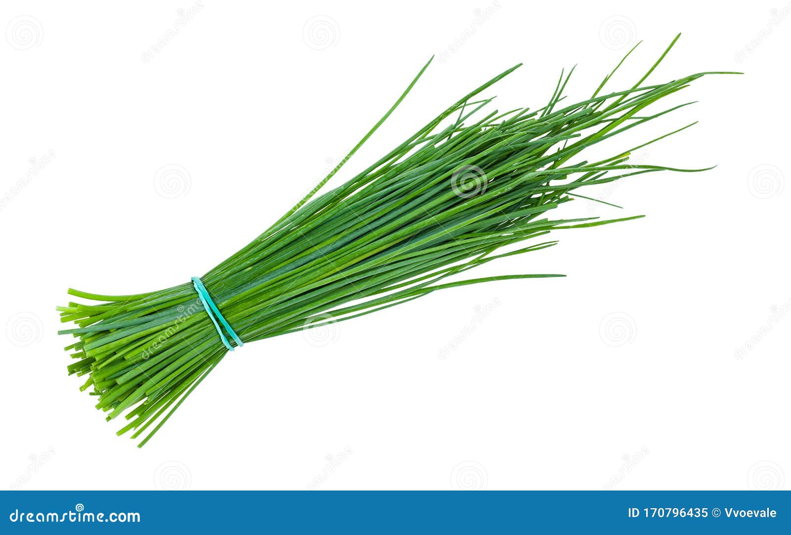 Bunch of Fresh Chives Herbs Isolated on White Stock Image - Image of ...