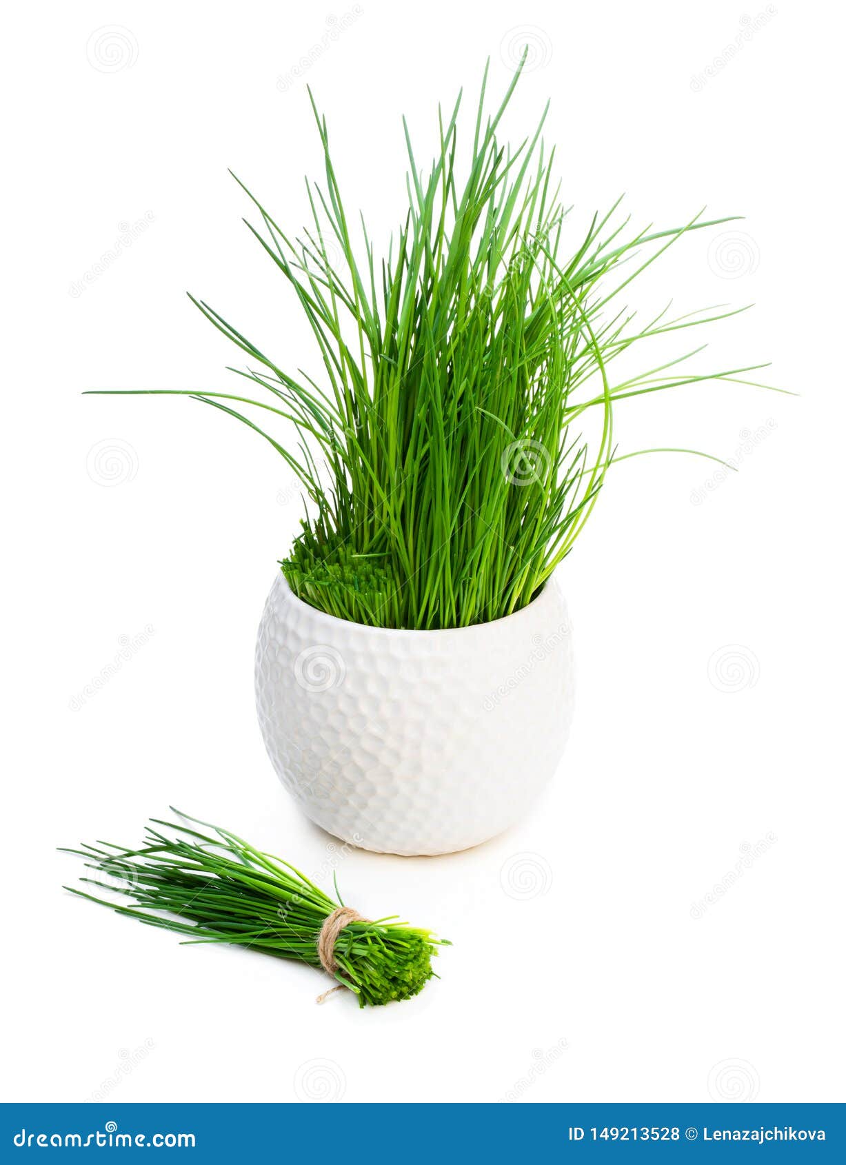 Bunch of Fresh Chives and Plant in Pot Isolated on White Stock Photo ...
