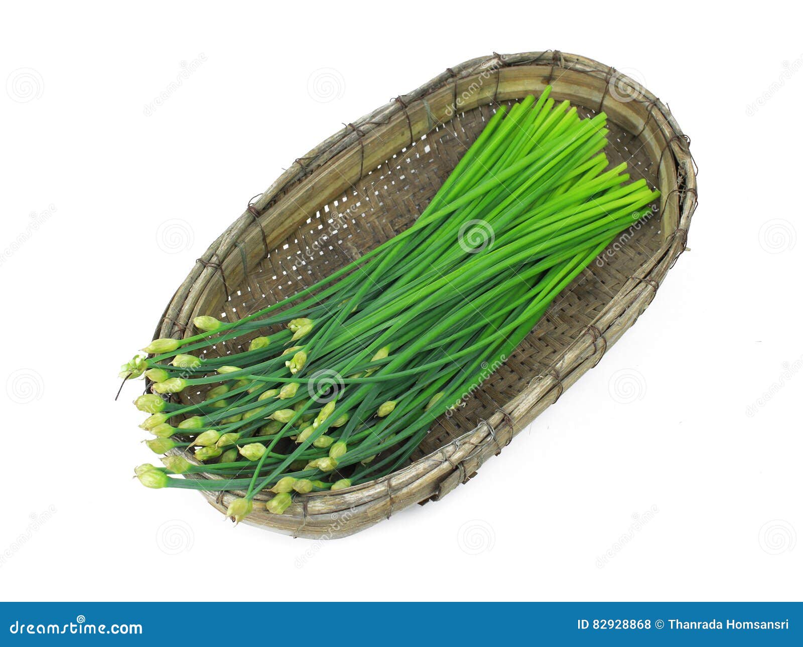 Bunch of fresh chives stock photo. Image of fresh, leek - 82928868