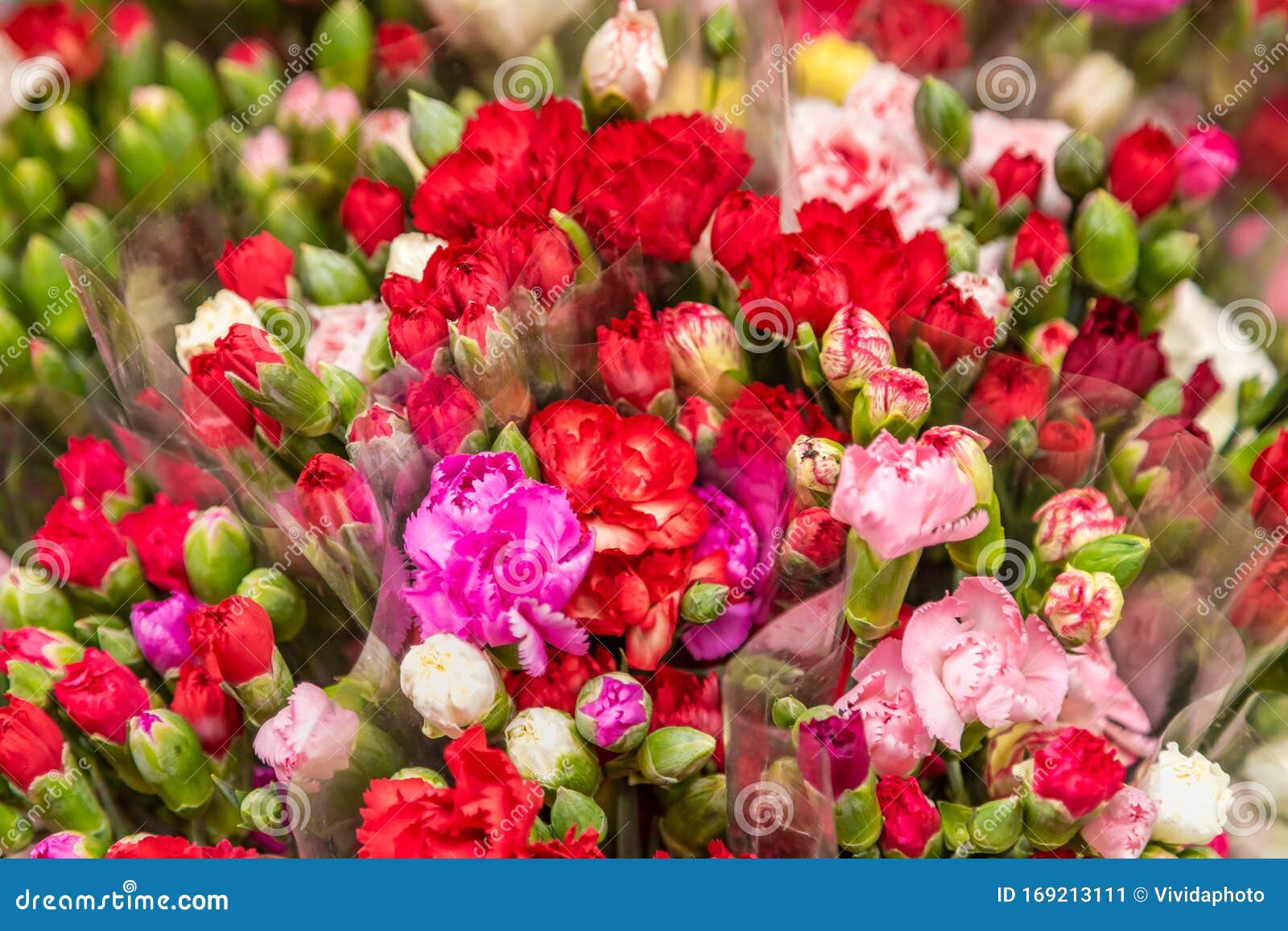 Colorful flowers stock image. Image of bunch, pink, fresh - 169213111