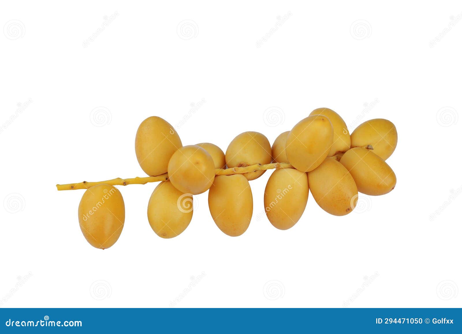 A Bunch of Fresh Date Palm (Phoenix Dactylifera) Isolated on White ...