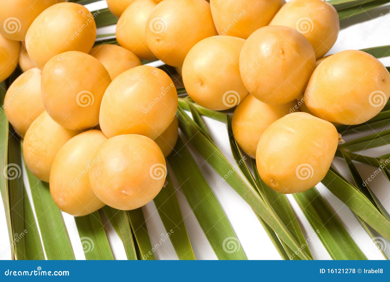 Bunch of fresh dates stock photo. Image of fresh, fruit - 16121278