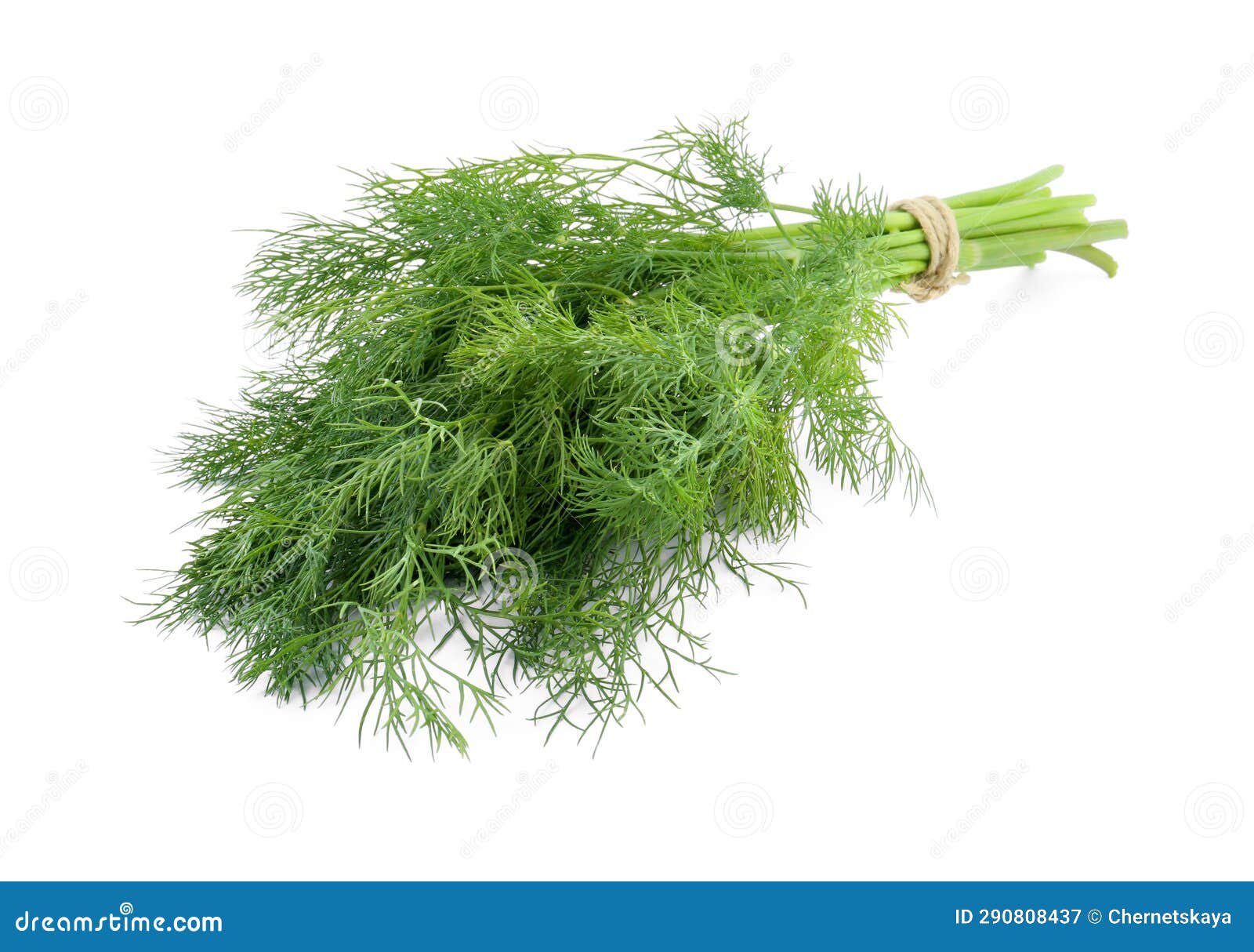 Bunch of Fresh Dill Isolated on White Stock Image - Image of food ...