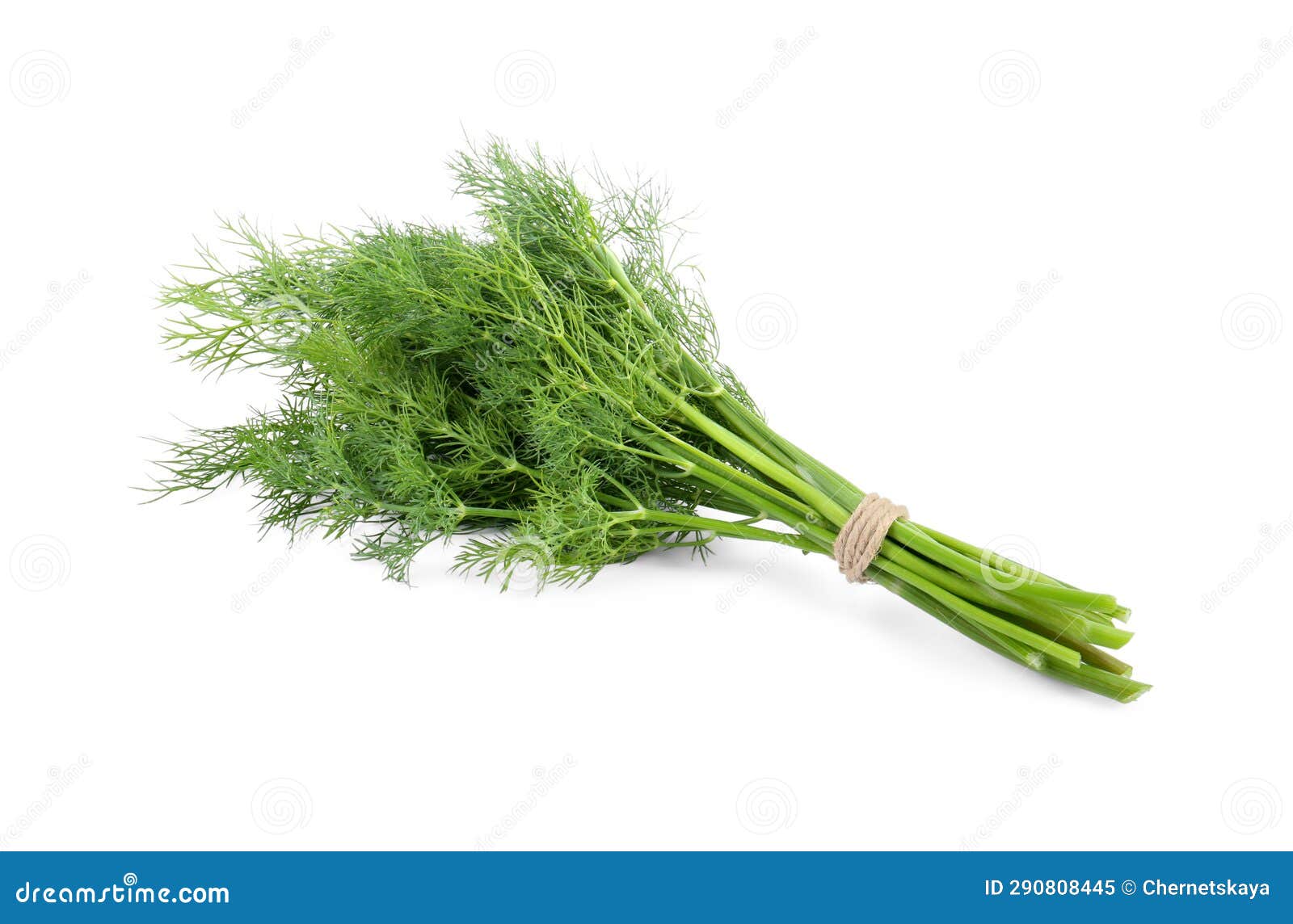 Bunch of Fresh Dill Isolated on White Stock Image - Image of fiber ...