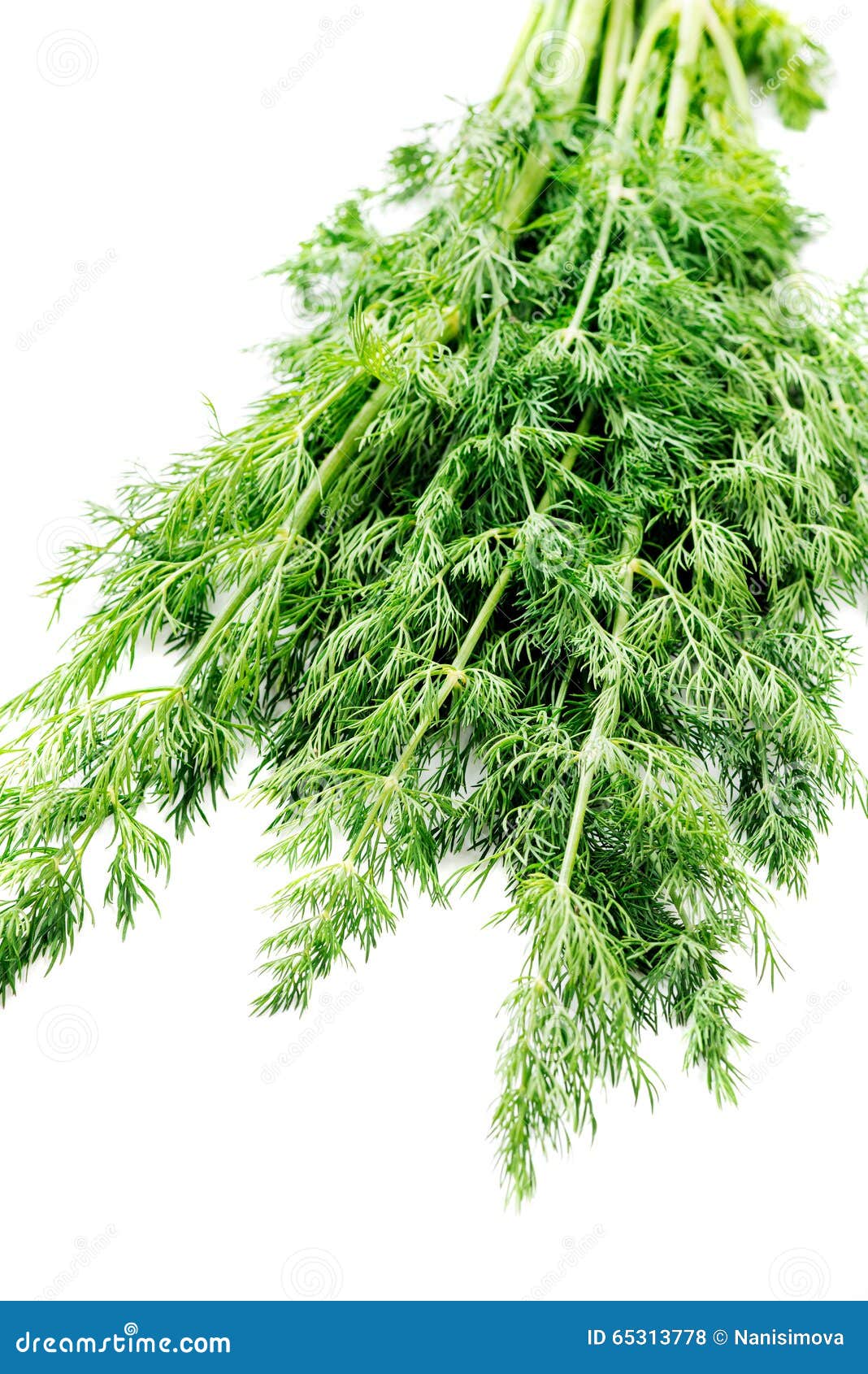 Bunch of Fresh Dill on White Stock Photo - Image of condiment, flavor ...