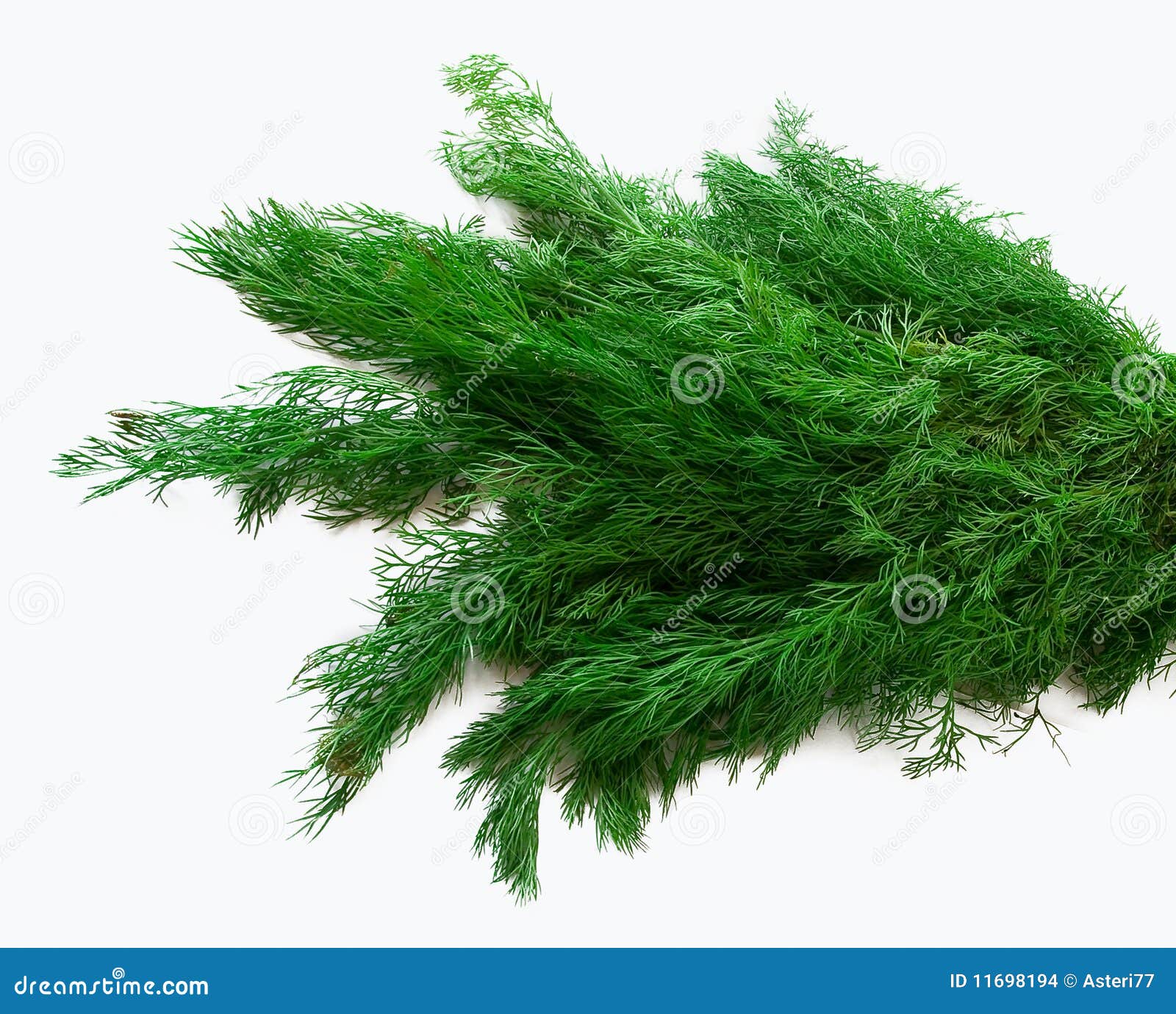 A Bunch of Fresh Dill on White. Isolated. Stock Photo - Image of bunch ...