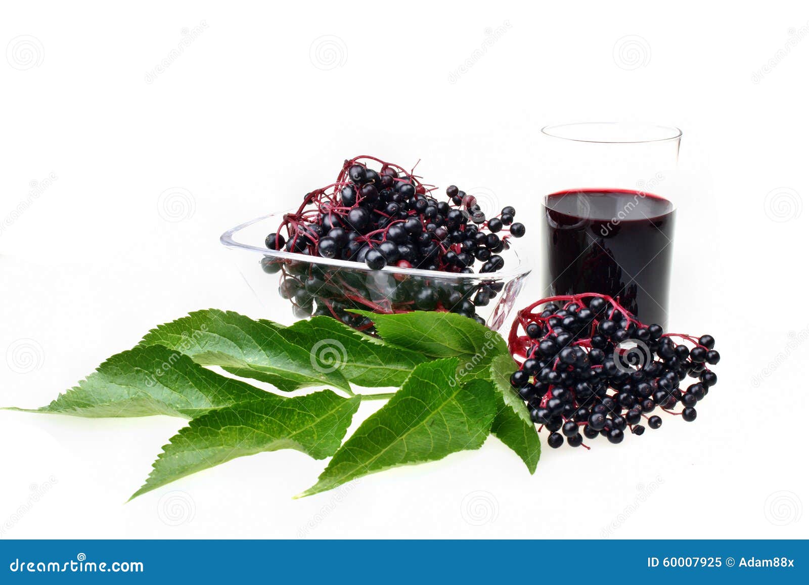 Bunch of Fresh Elderberries Stock Image - Image of medicine, bundle ...